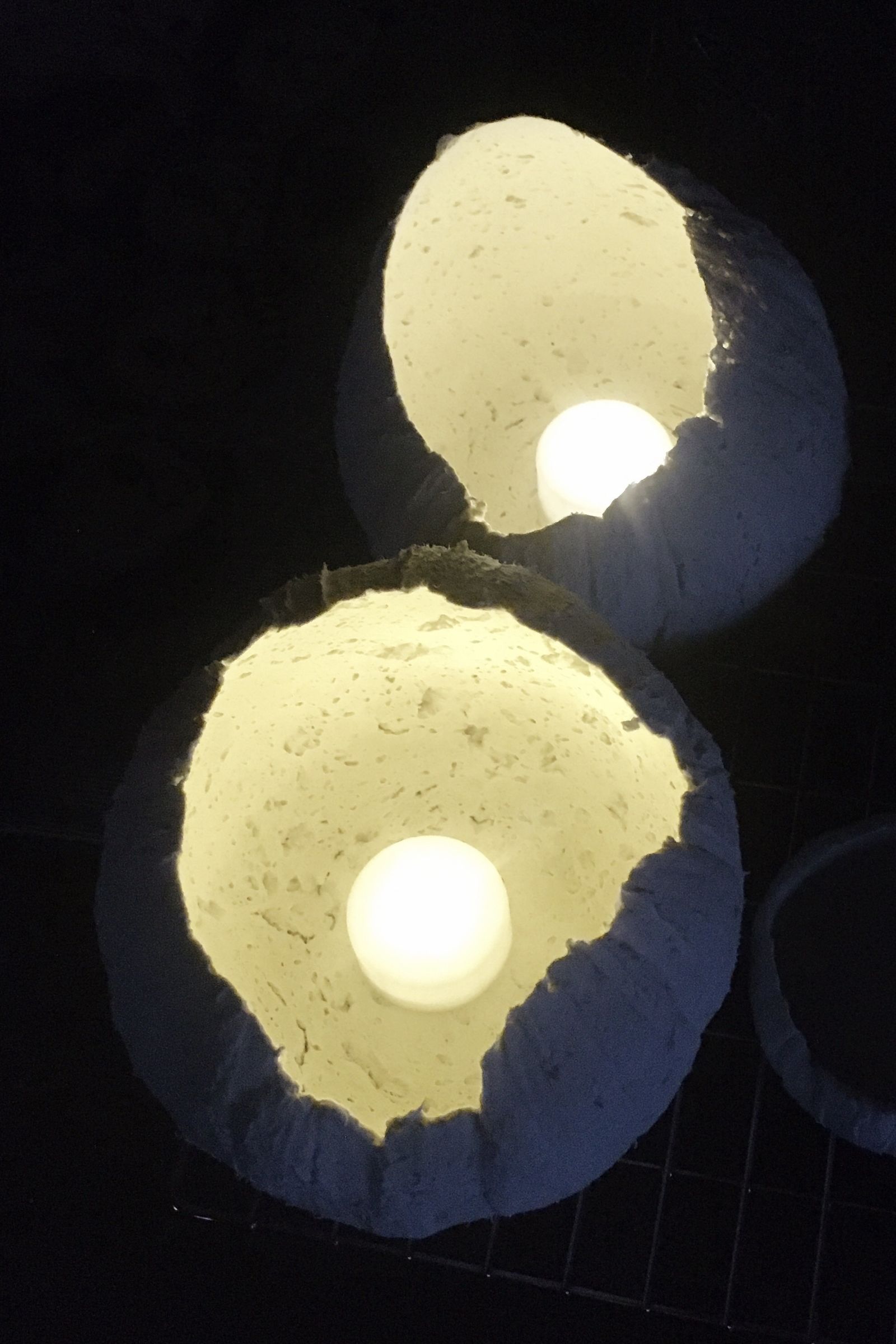 Barnacle Sculptures--and an Experiment With 2 Kinds of Homemade Paper ...