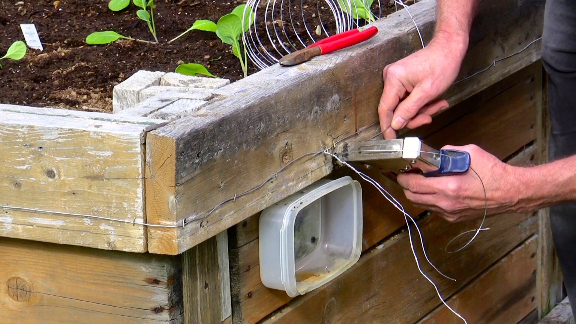 Electric Garden Slug Fence : 4 Steps (with Pictures) - Instructables