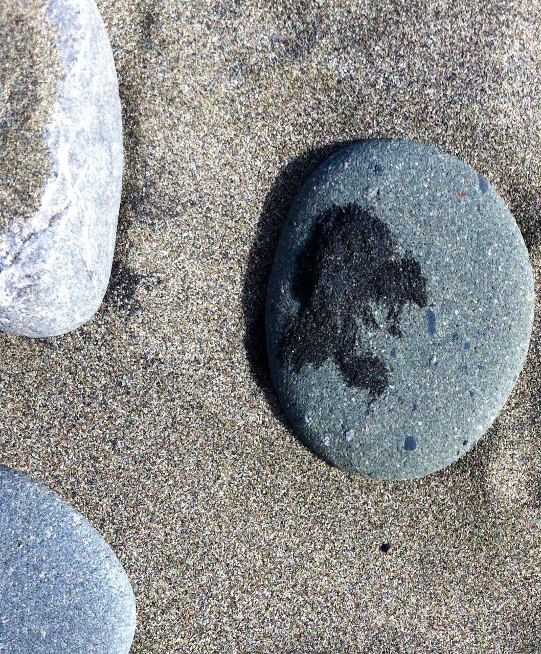 PULLING IRON From GOLD BEACH : 7 Steps (with Pictures) - Instructables