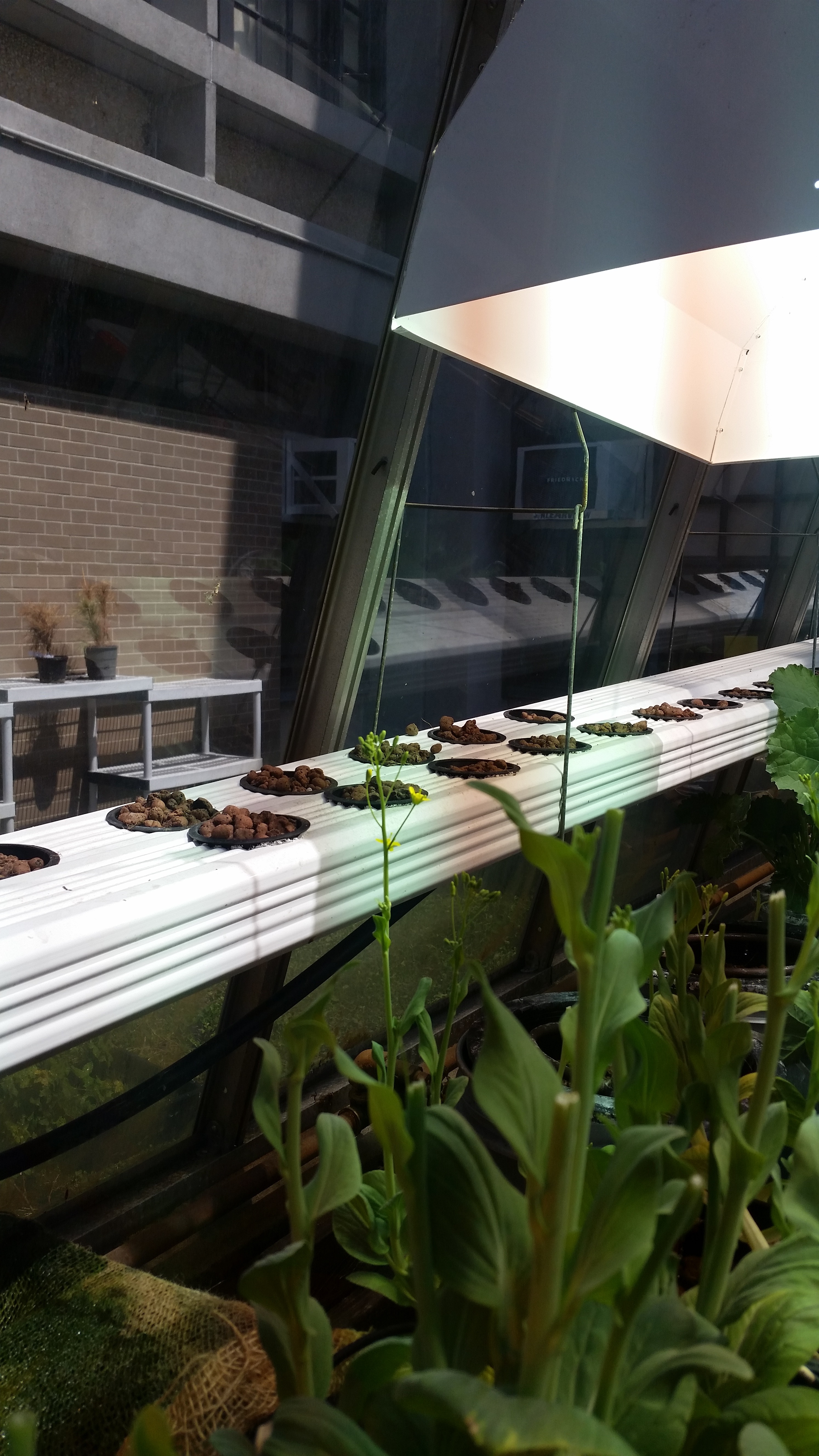 DIY Nutrient Film Technique (NFT) Hydroponic System! : 5 Steps (with ...