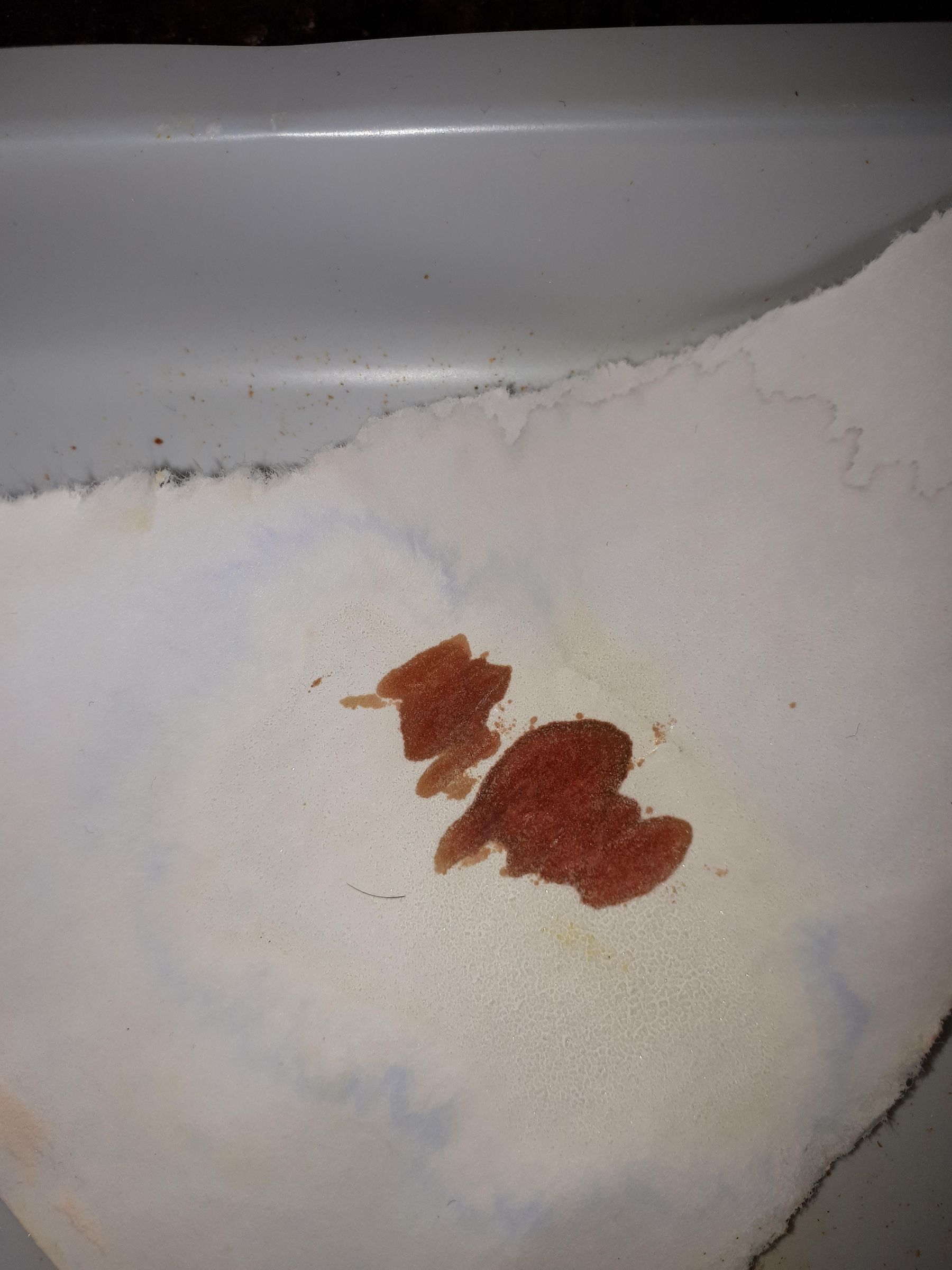 Pigment Dyes With Metal DMG Complexes for Painting and Using Other Dyes ...