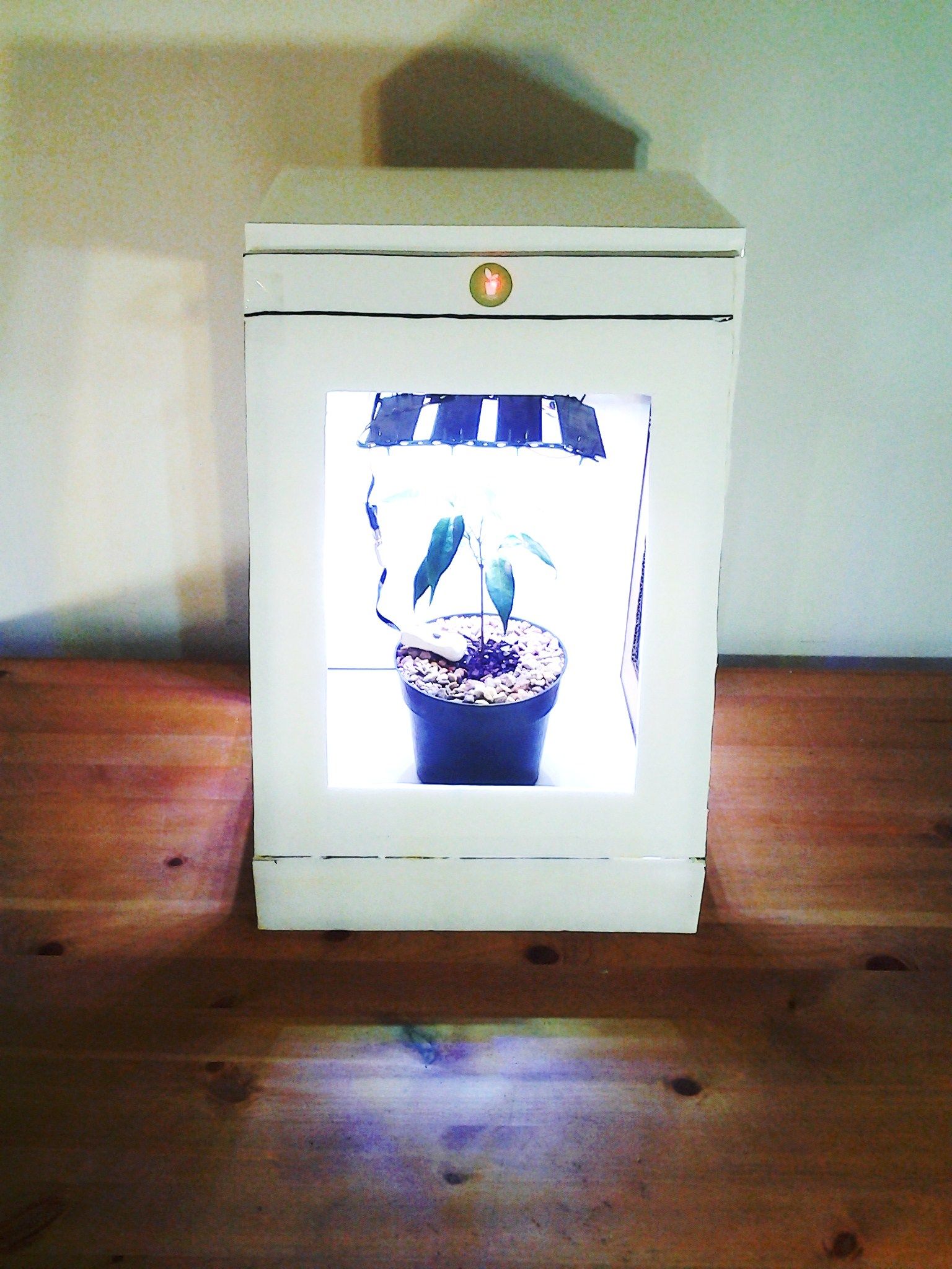 The Plant Box : 6 Steps - Instructables