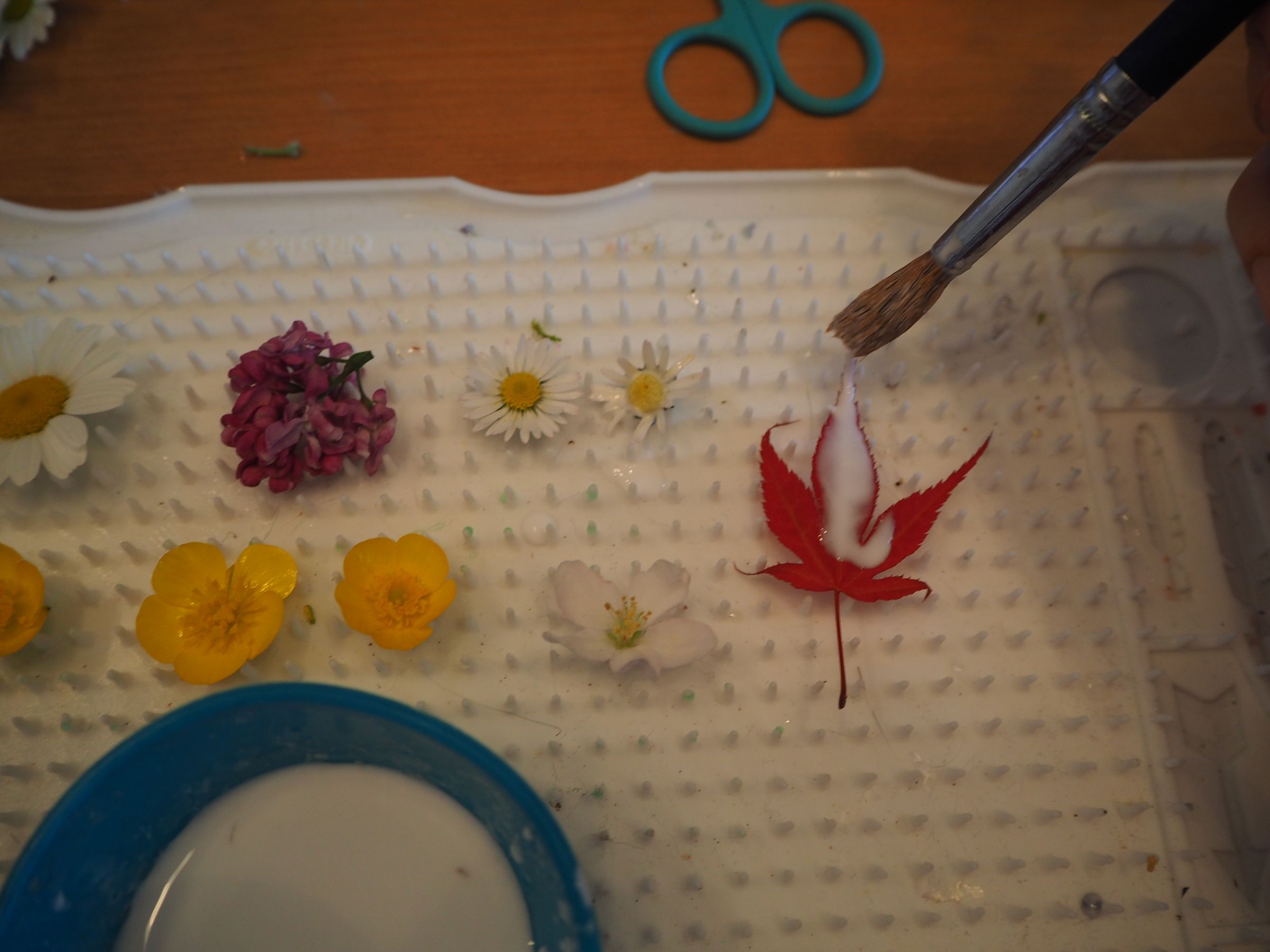 Techniques to Embed Flowers in Resin : 12 Steps (with Pictures ...