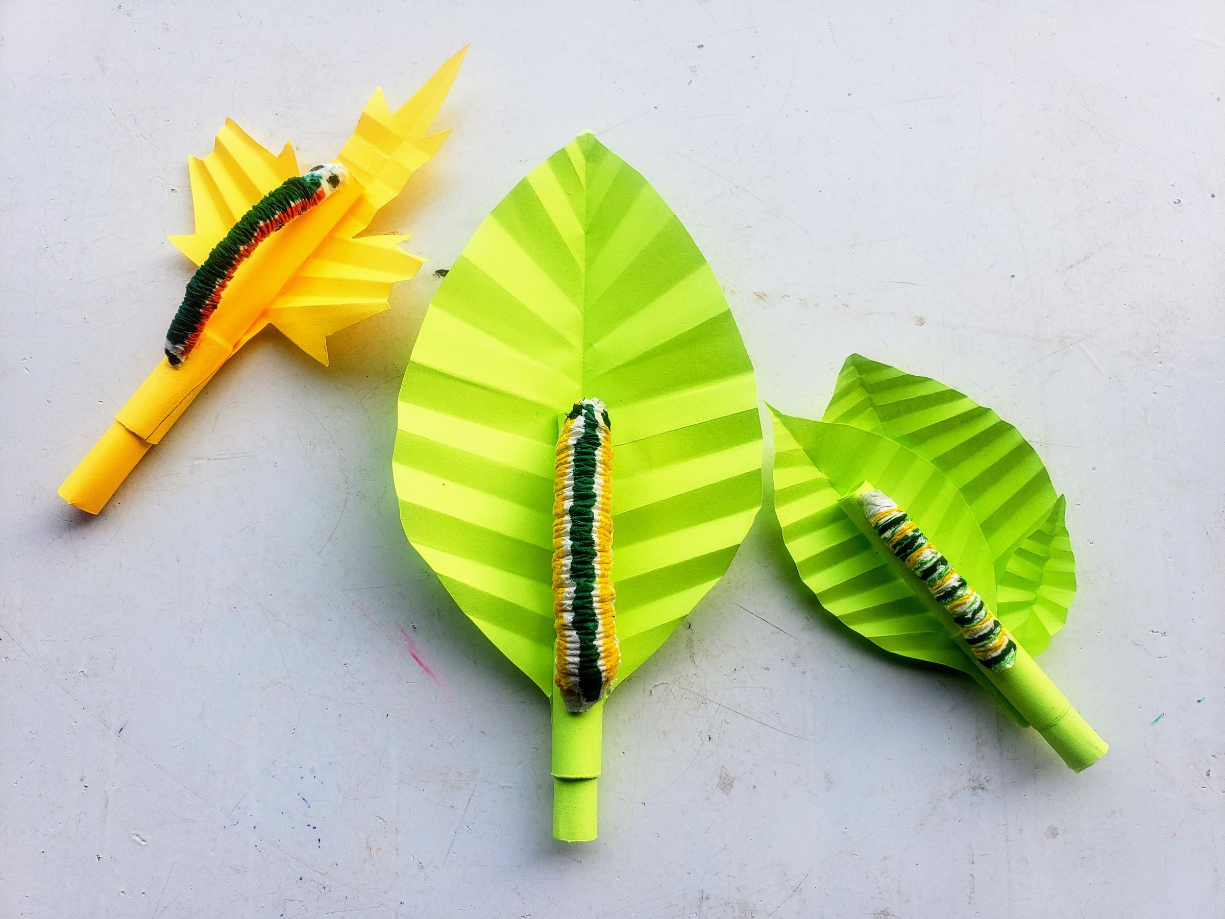 Super Simple DIY Fun Paper Wriggling Caterpillar. : 10 Steps (with ...