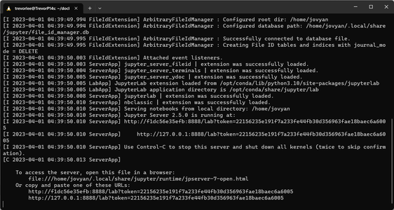 Install Jupyter Server As Docker Container In Windows Wsl For Dl Model