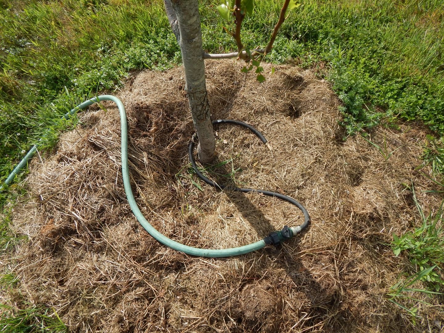 HSR - 4 Make a Shrub and Tree Soaker Hose - Instructables