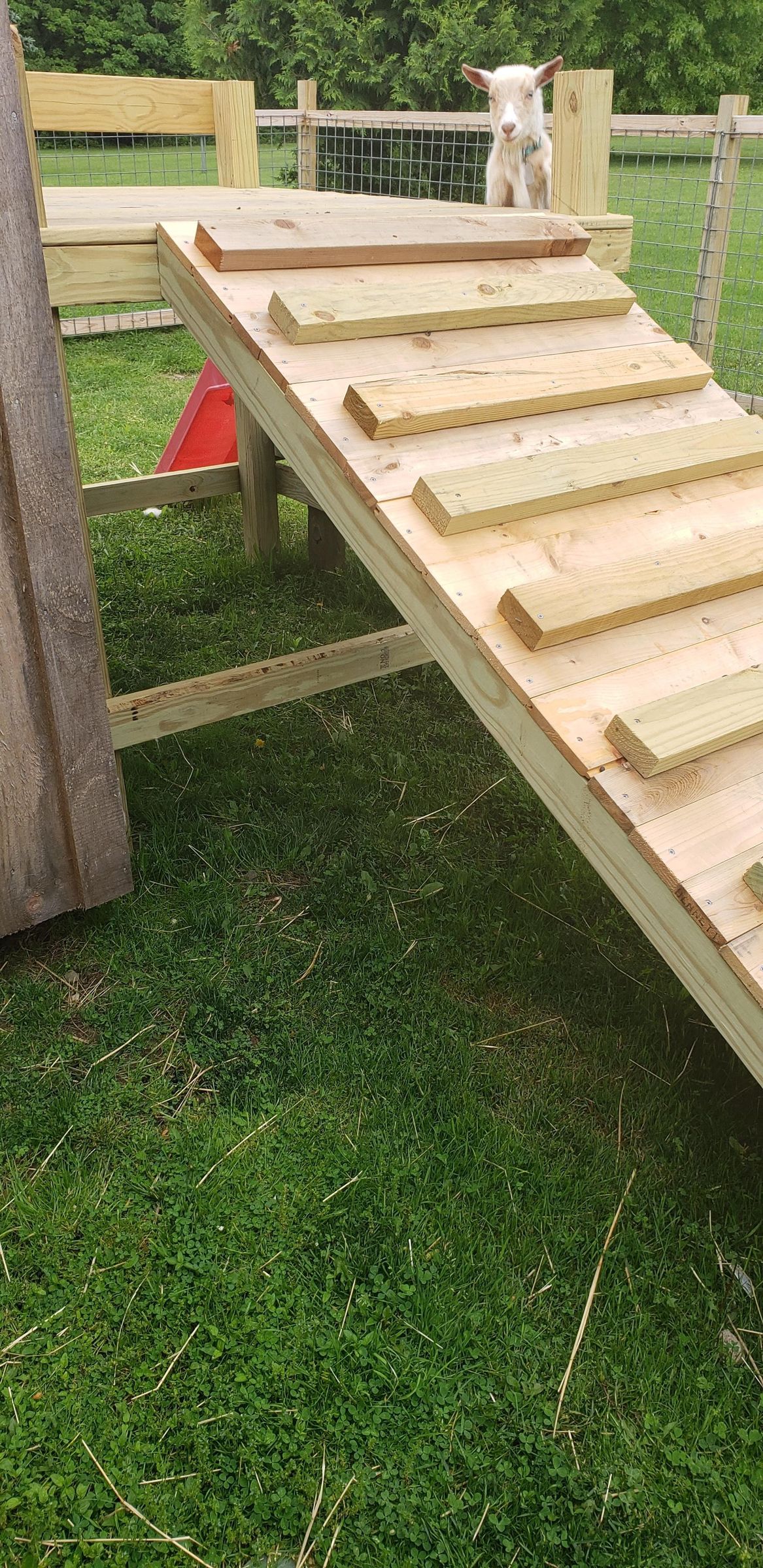 Goat Tower With Slide : 8 Steps (with Pictures) - Instructables