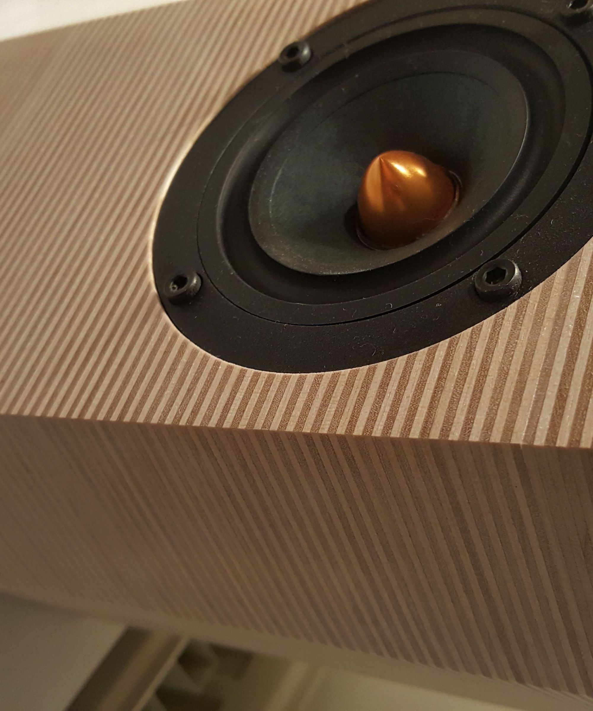LK Audio Mini Monitor Speakers (bookshelf) : 8 Steps (with Pictures ...