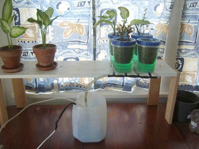 Table Top Hydroponics : 5 Steps - Instructables