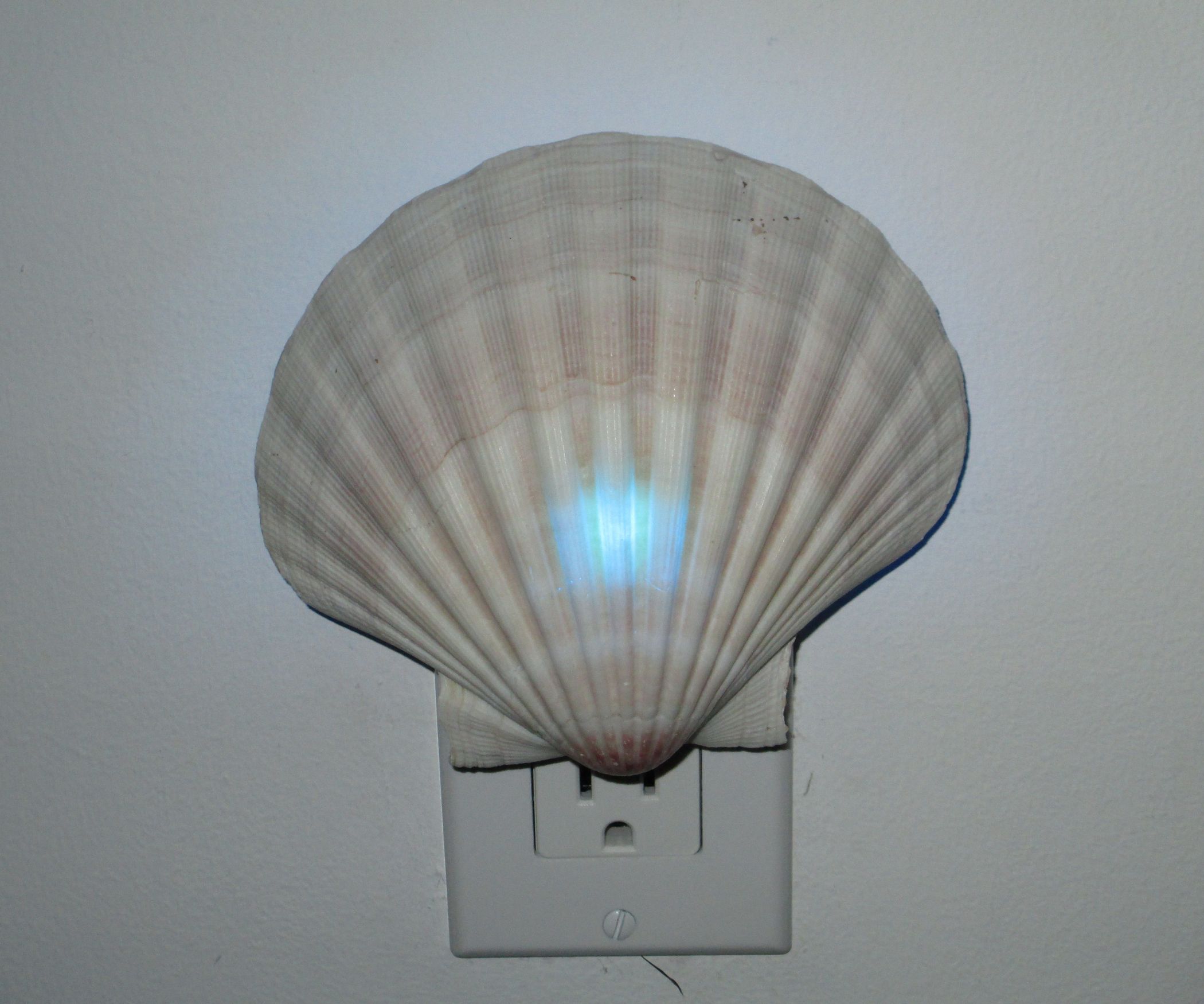 Color Changing Night Light : 5 Steps (with Pictures) - Instructables