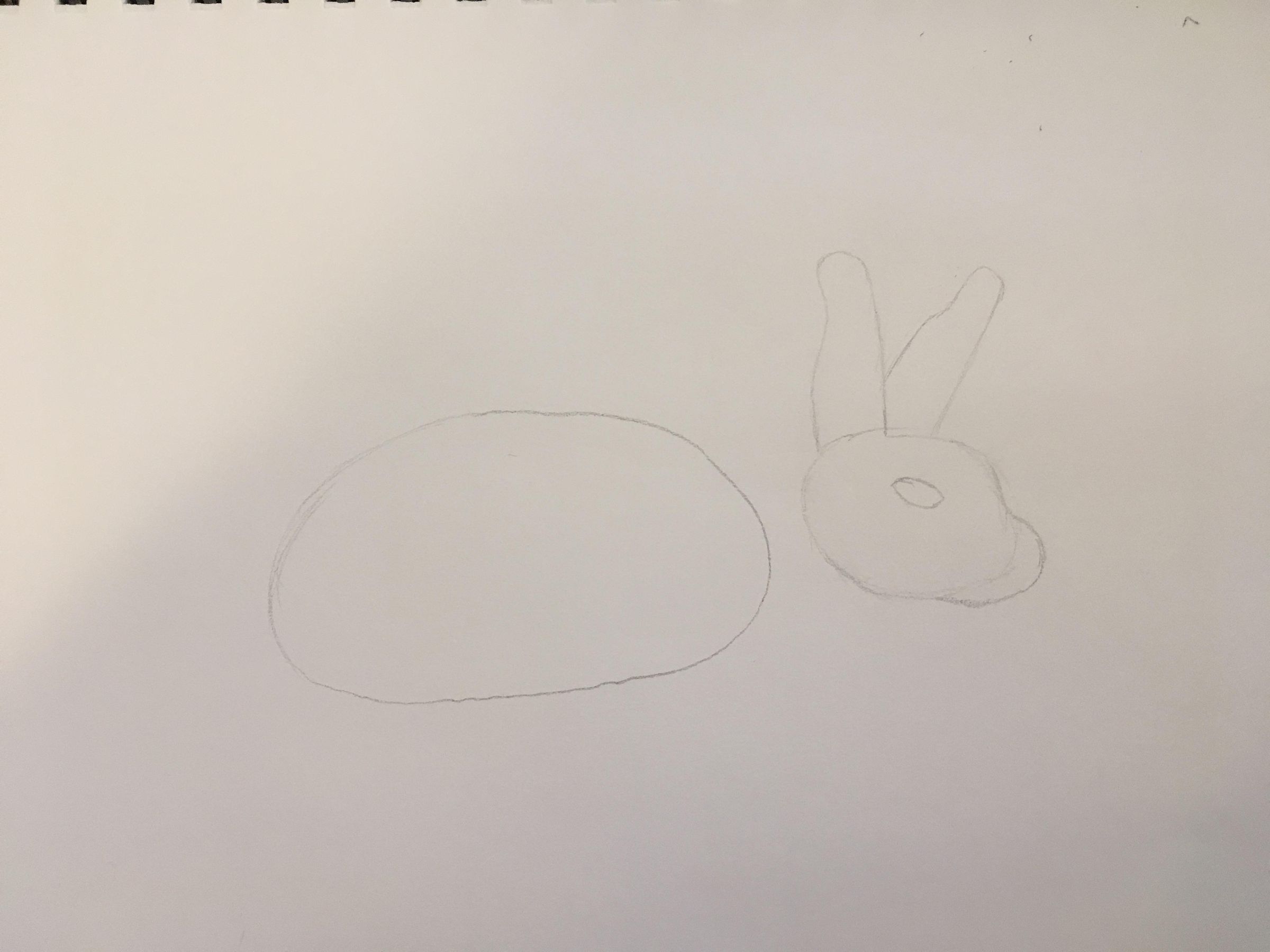 How to Draw a Realistic Bunny (standing) : 26 Steps - Instructables