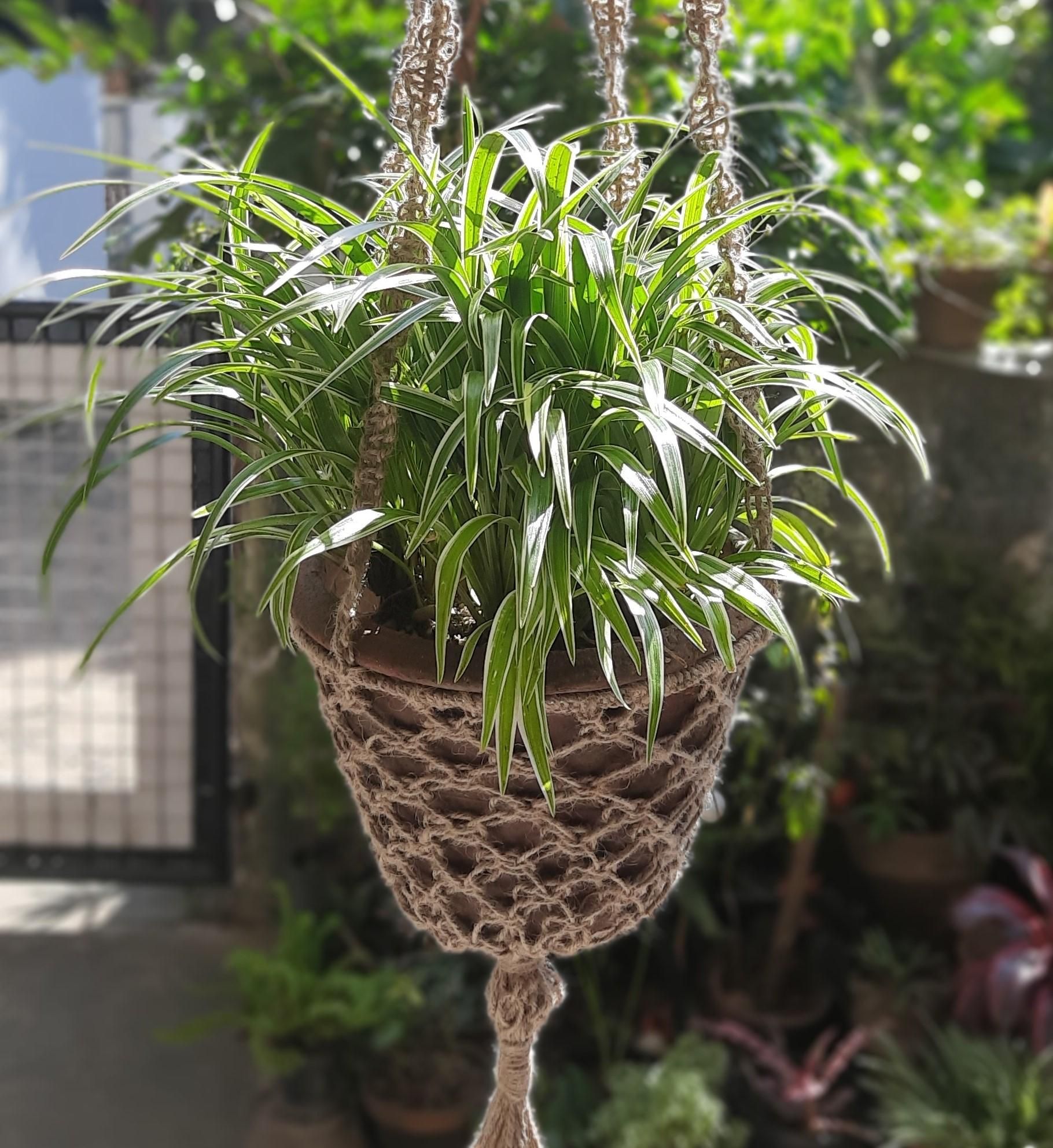 RECYCLED JUTE MACRAME PLANT HANGER : 8 Steps - Instructables