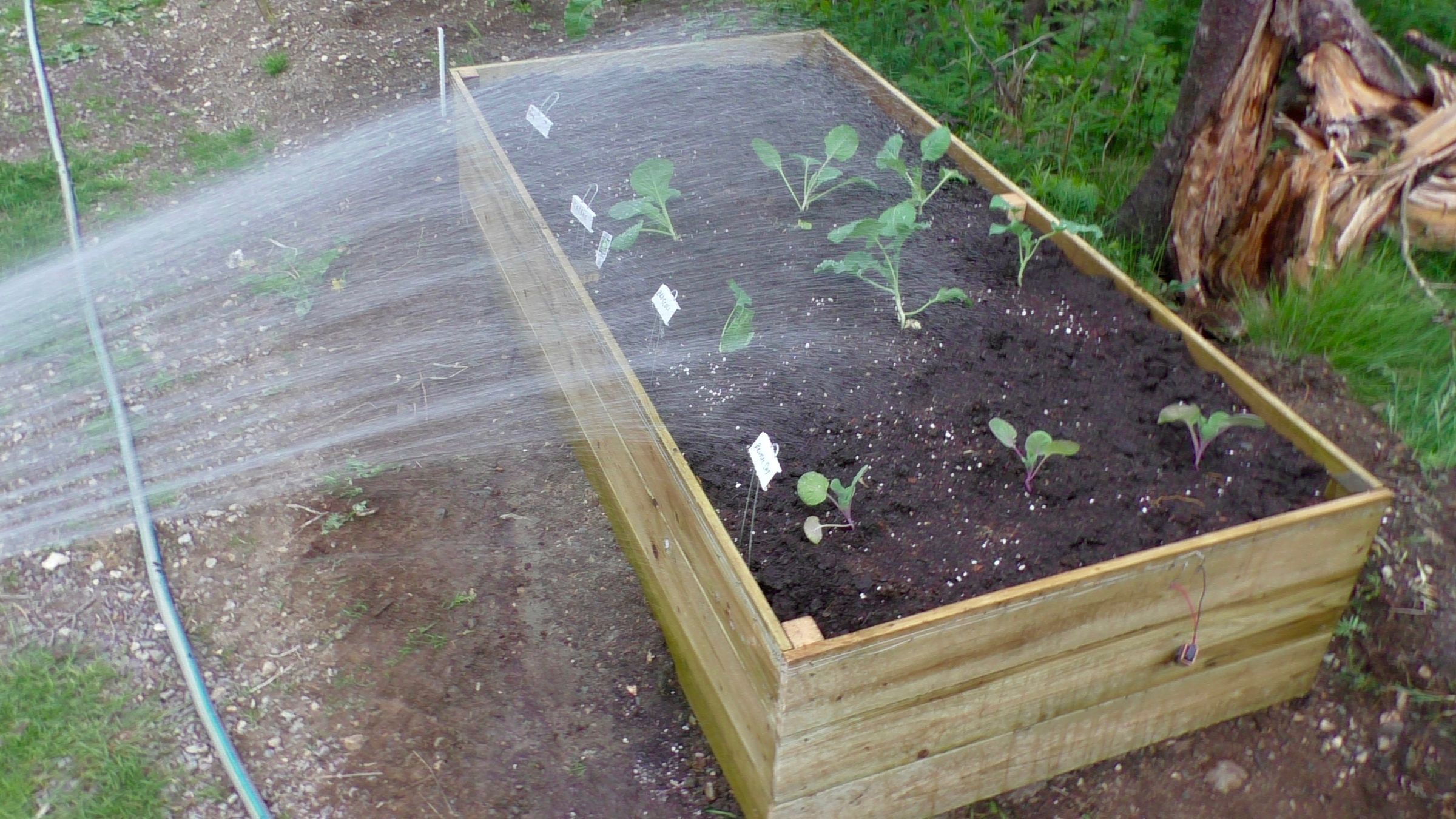 Raised Bed With Built-in Slug Control : 4 Steps (with Pictures ...