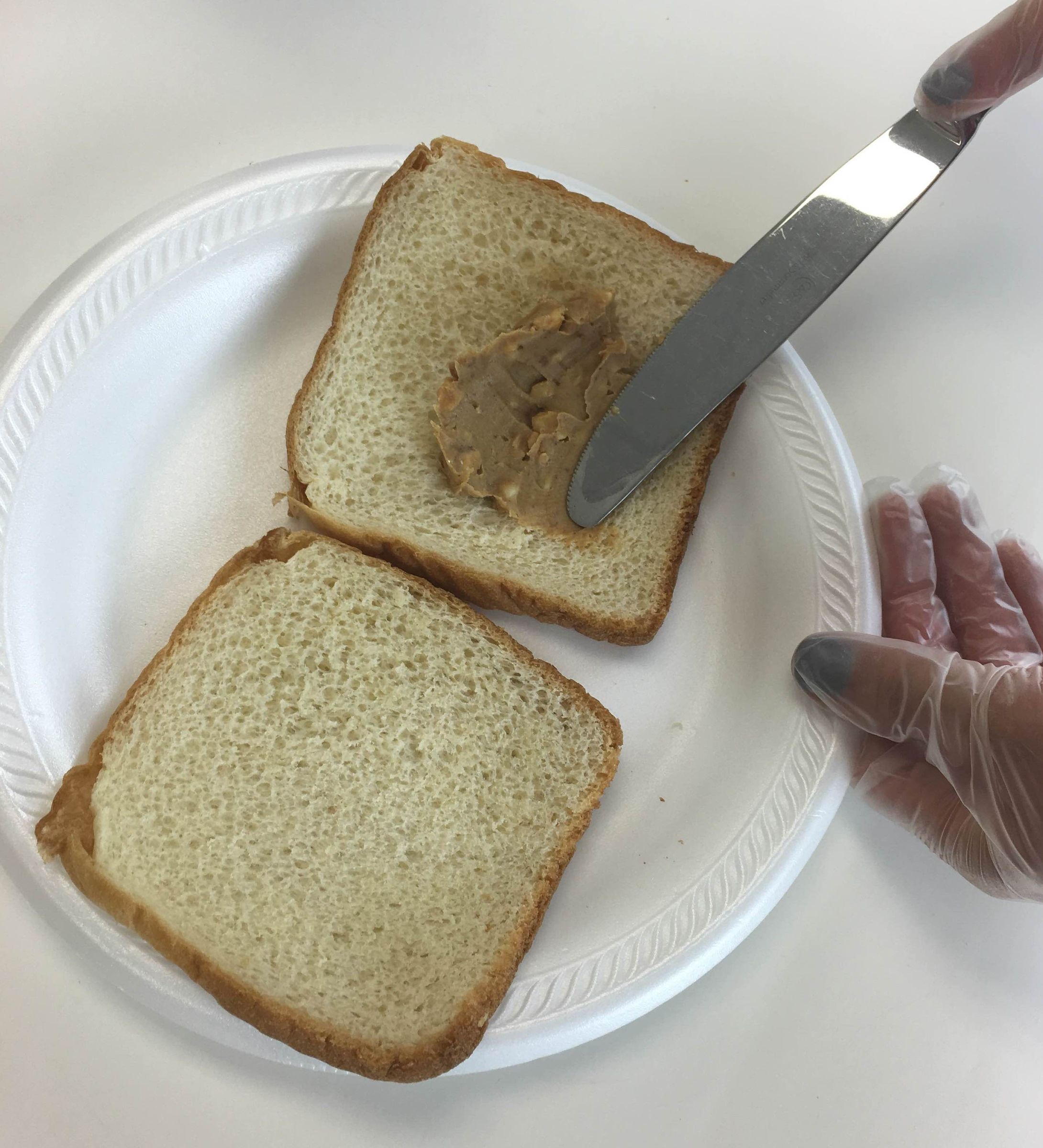 How to Make a Peanut Butter and Jelly Sandwich! : 11 Steps - Instructables