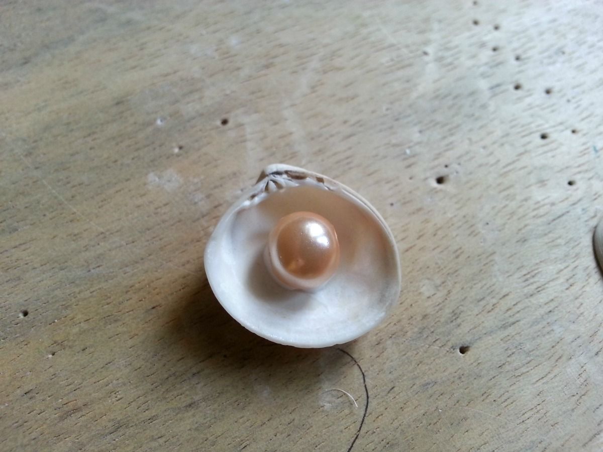 DIY Sea Shell Earrings : 4 Steps (with Pictures) - Instructables