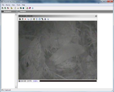 Squirrel Nest Camera : 4 Steps (with Pictures) - Instructables