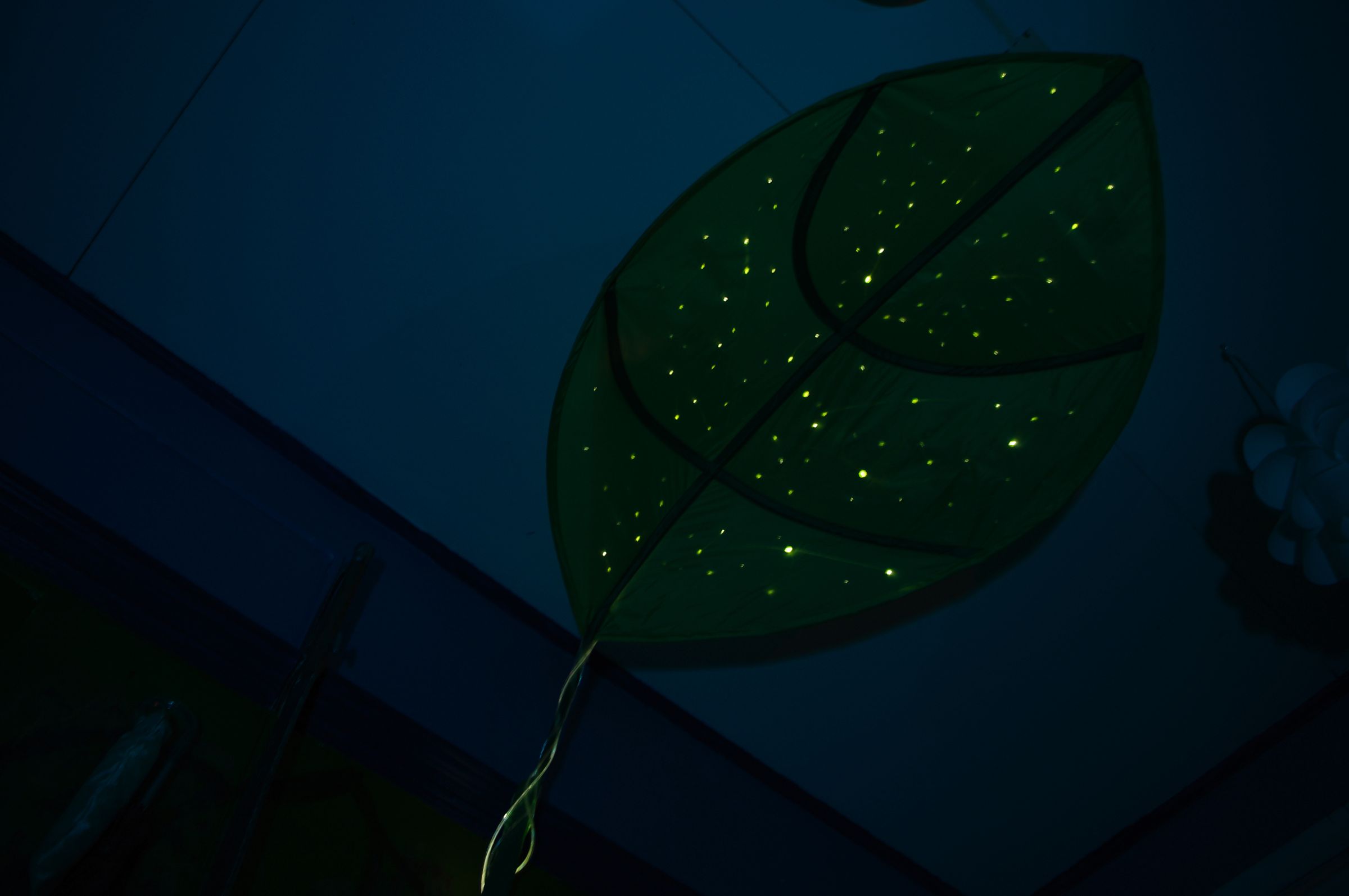 Giant Leaf Planetarium : 6 Steps (with Pictures) - Instructables