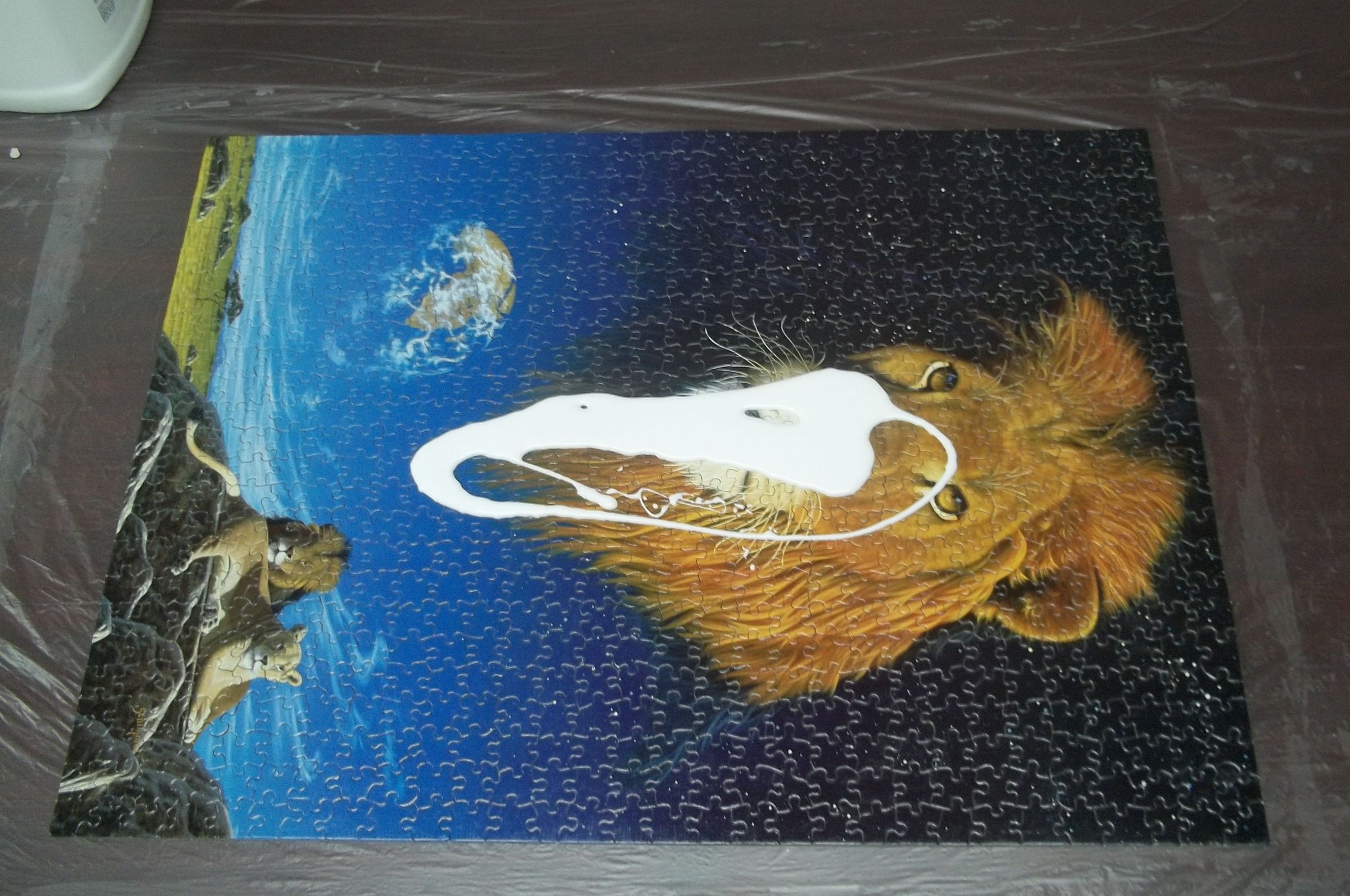 Cheap Way to Save a Puzzle : 4 Steps - Instructables