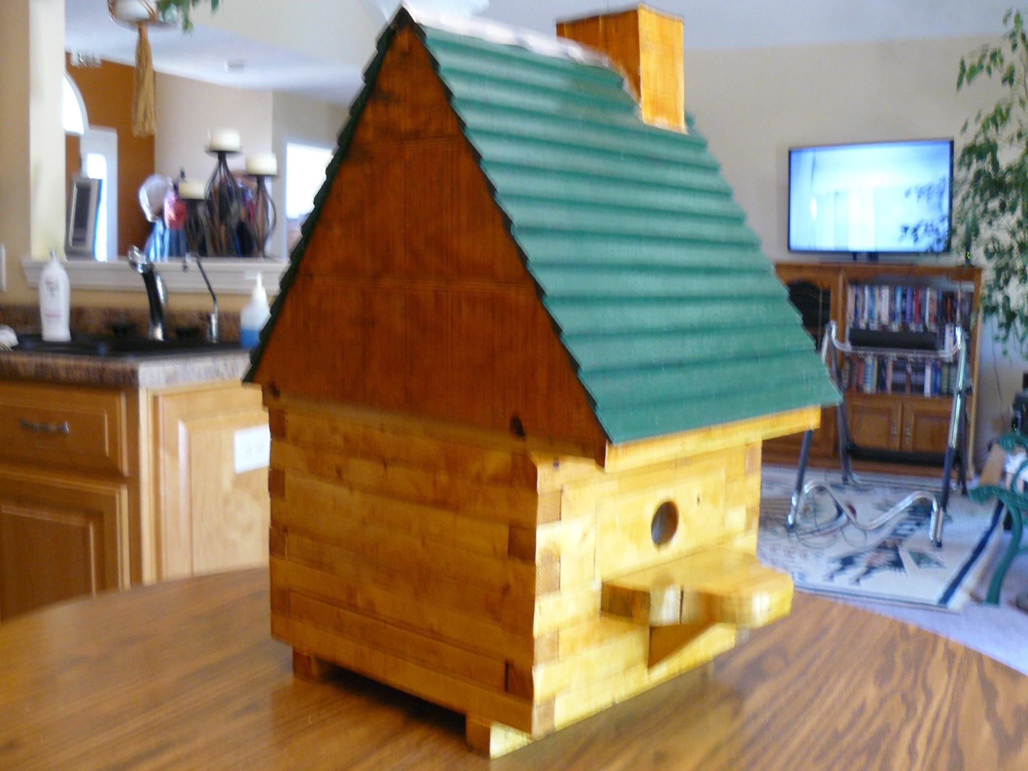 Flying Squirrel House W/Spy Cam : 4 Steps (with Pictures) - Instructables