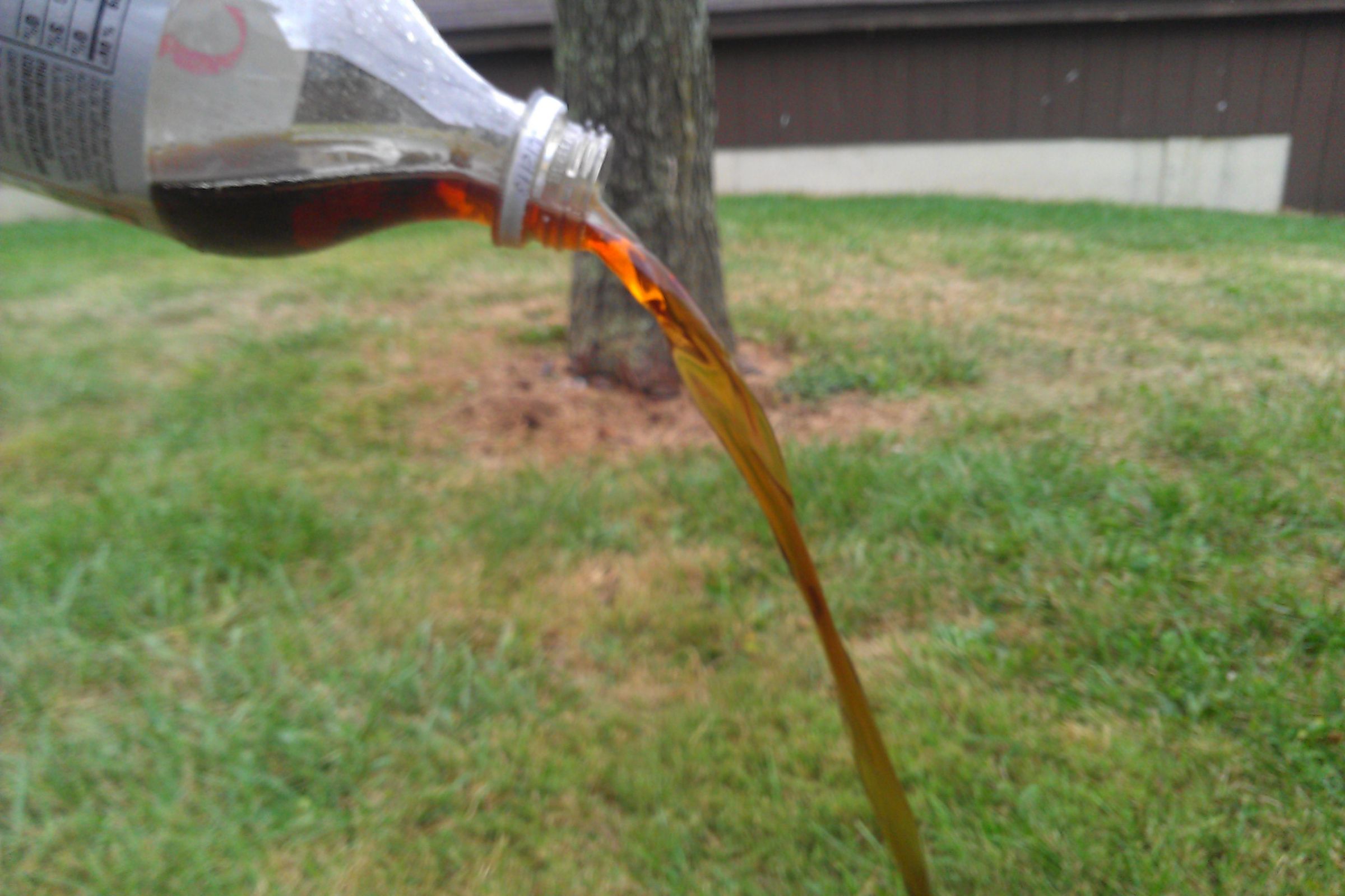 How to Make Soda POP!!! -Two Classic Methods : 11 Steps - Instructables