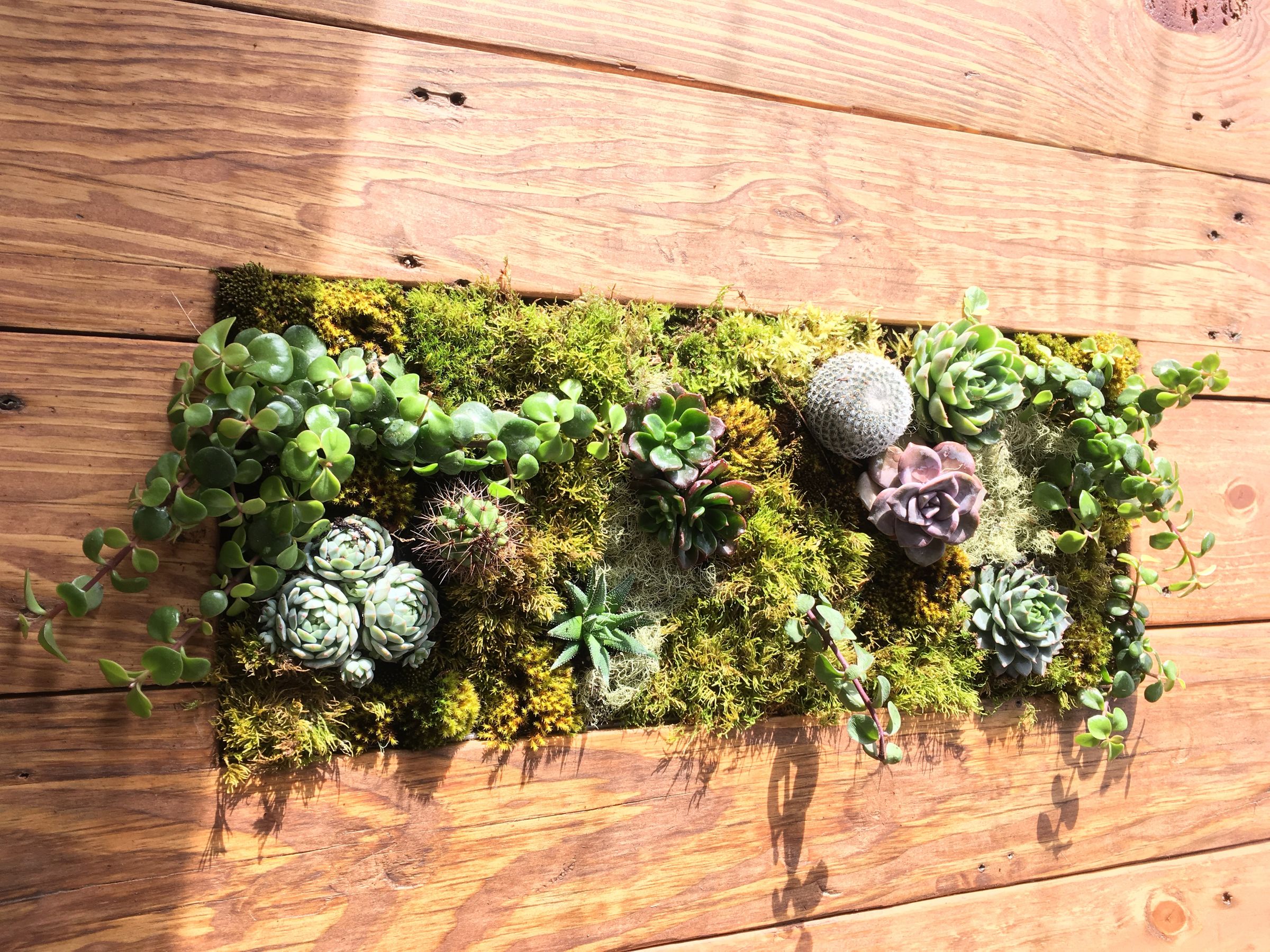 (Almost) Free Coffee Table With Planter : 7 Steps (with Pictures ...