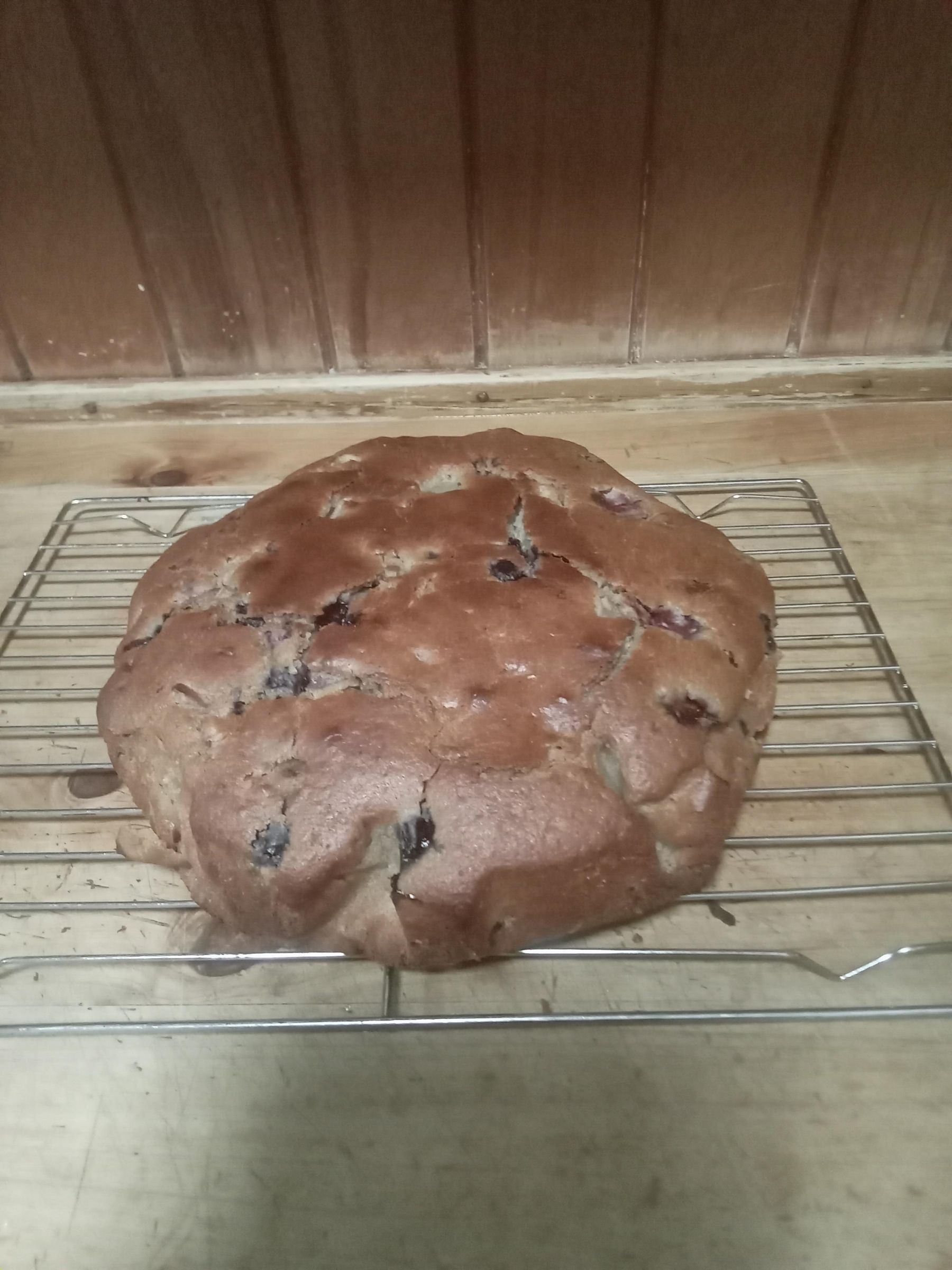 Herman the German Friendship Cake : 7 Steps (with Pictures) - Instructables