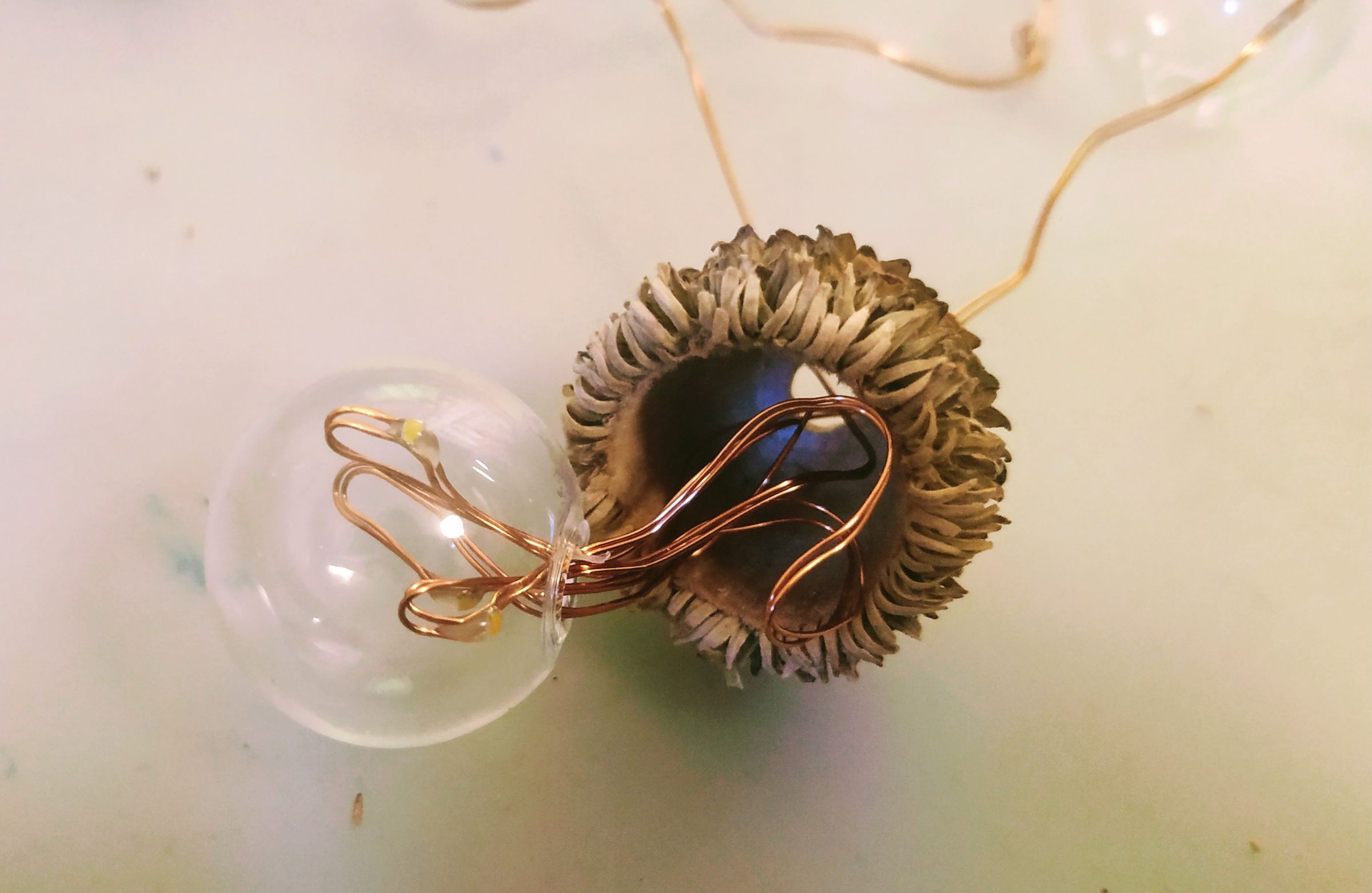 Tiny Acorn Light Bulbs!!! : 3 Steps (with Pictures) - Instructables