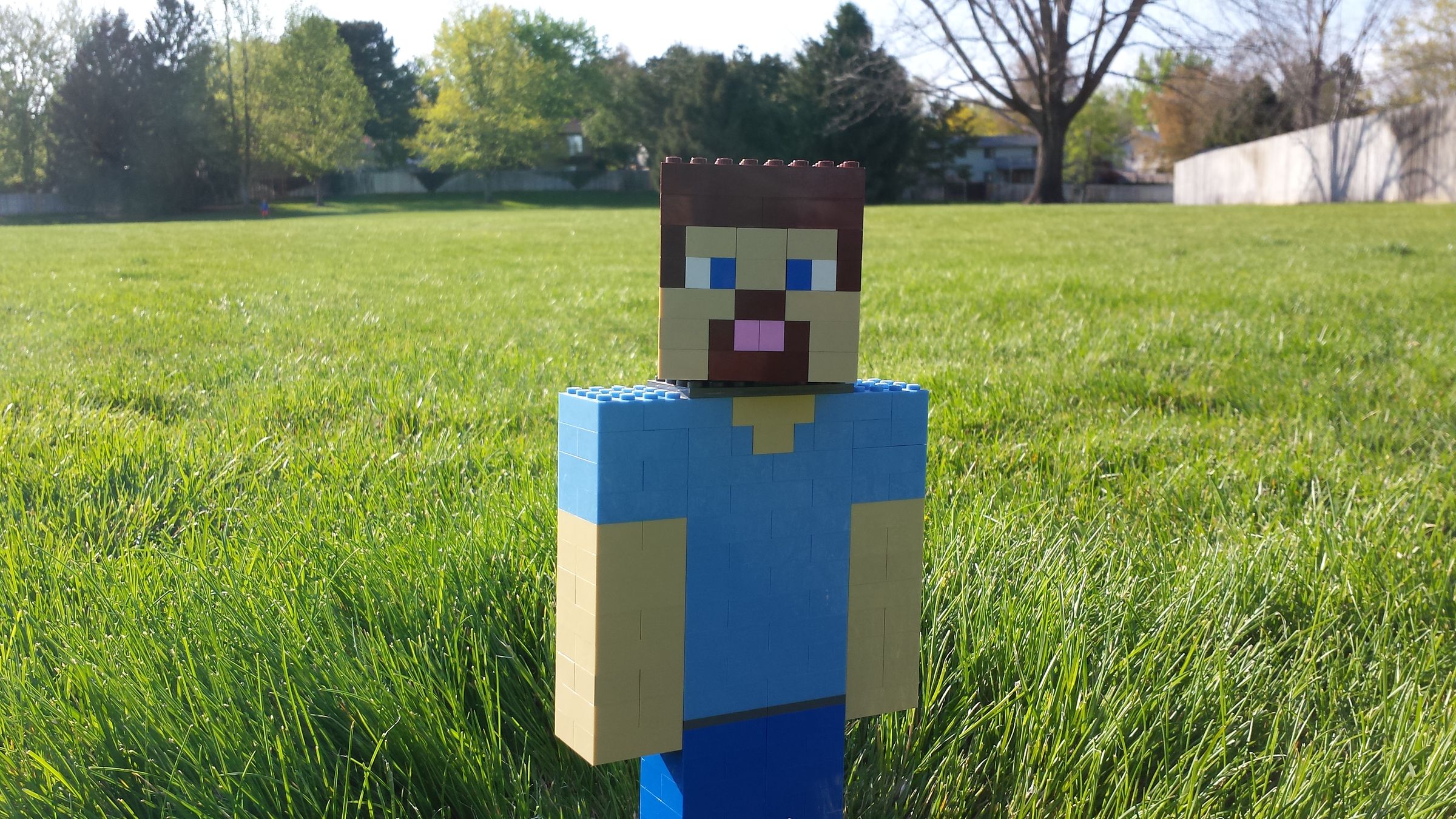 Minecraft Steve Skin