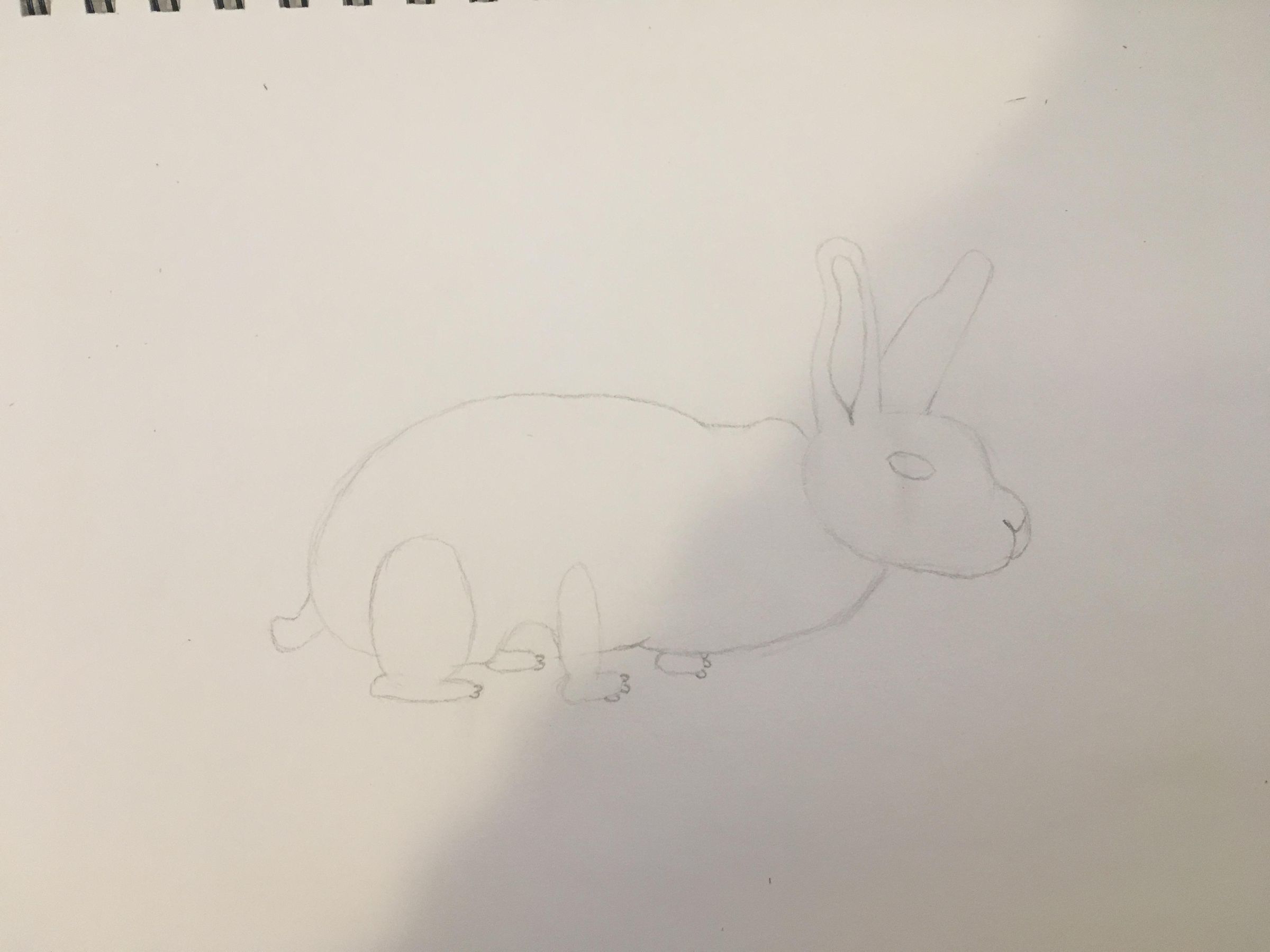 How to Draw a Realistic Bunny (standing) : 26 Steps - Instructables
