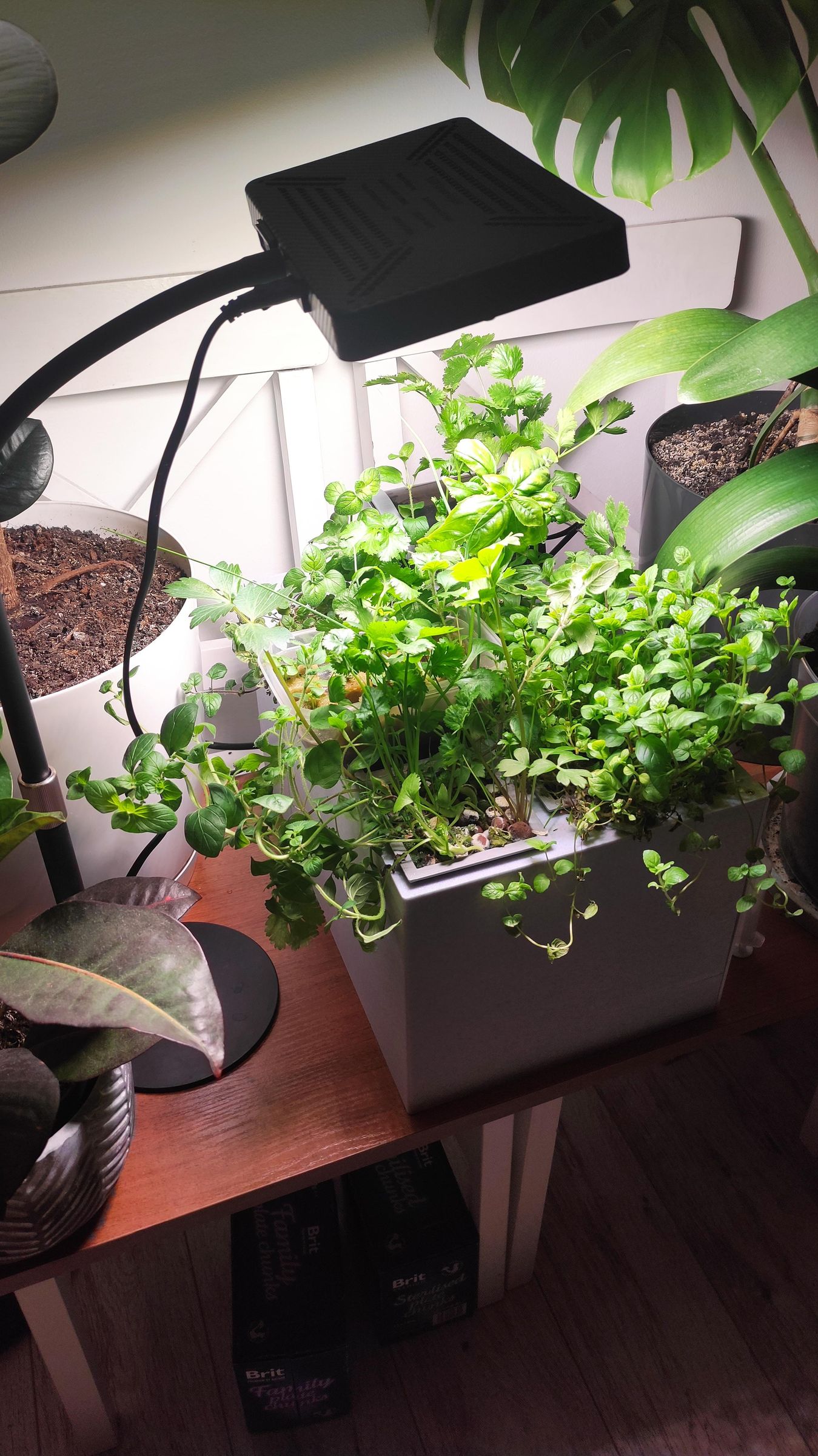 HydroForge - Hydroponic Station : 17 Steps (with Pictures) - Instructables