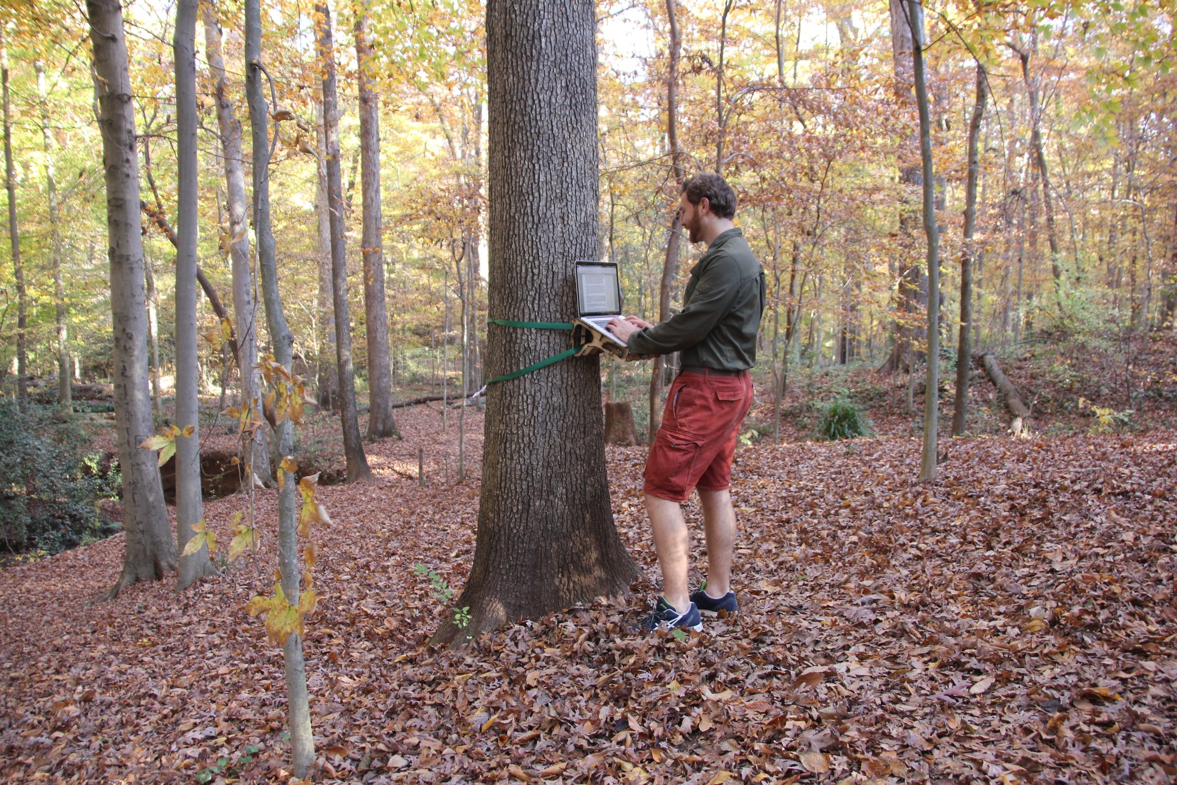 Standing Tree Desk : 5 Steps (with Pictures) - Instructables