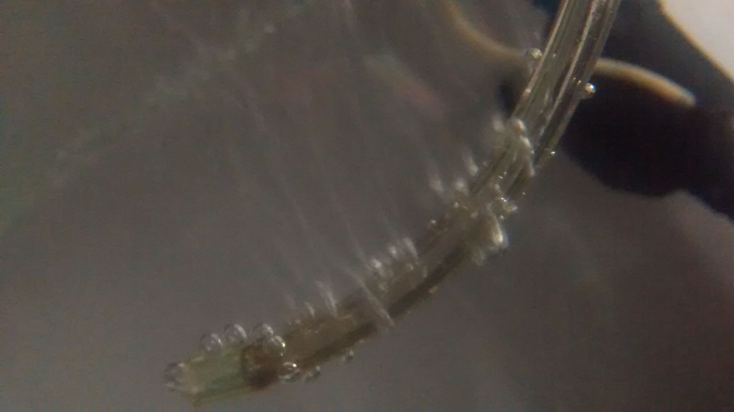 DIY Quick Cheap Airstone - Instructables