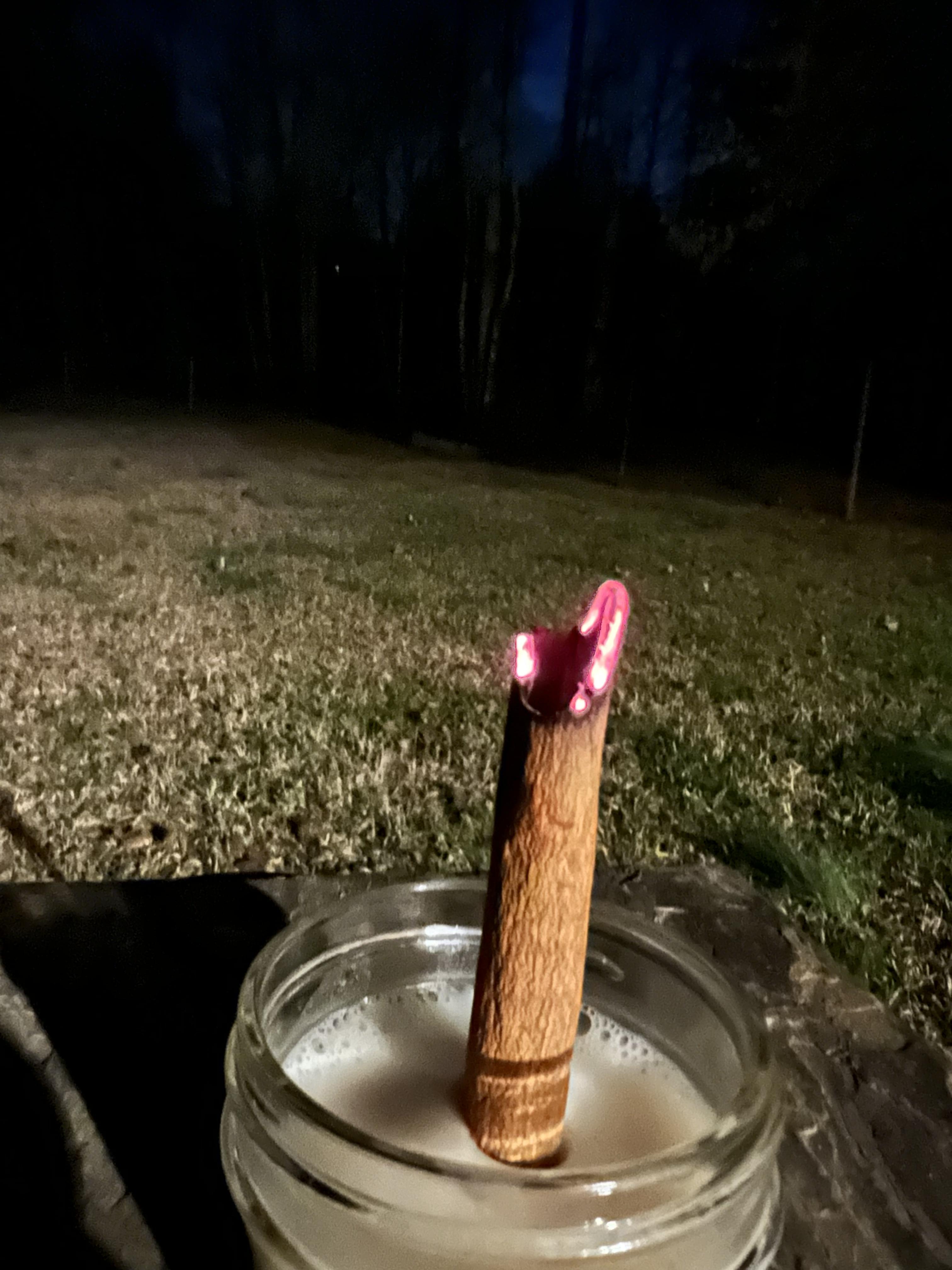 Bacon Fat & Cinnamon Candle With Bonus Bacon Recipe : 9 Steps (with ...