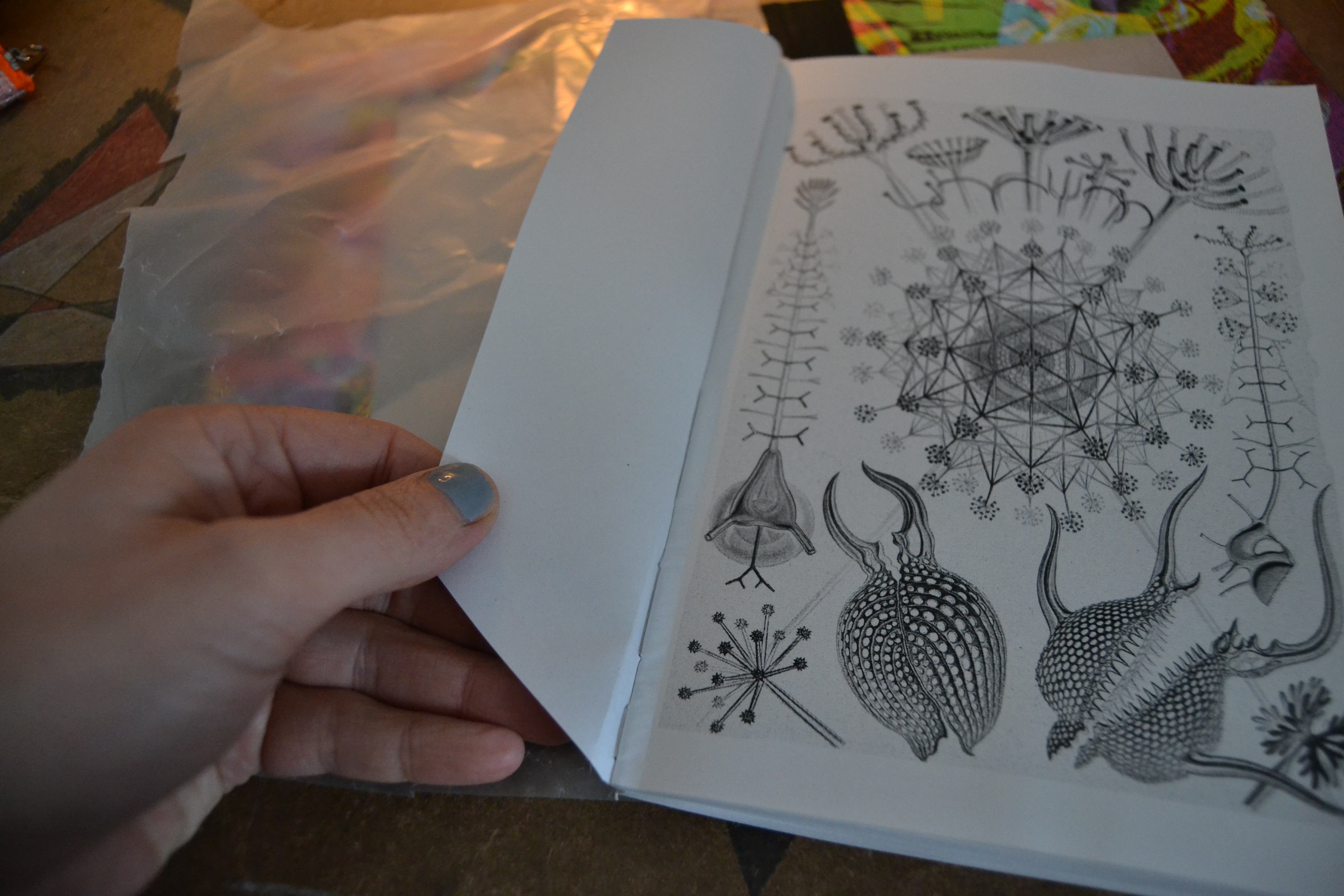 How to Bind a Book : 8 Steps (with Pictures) - Instructables