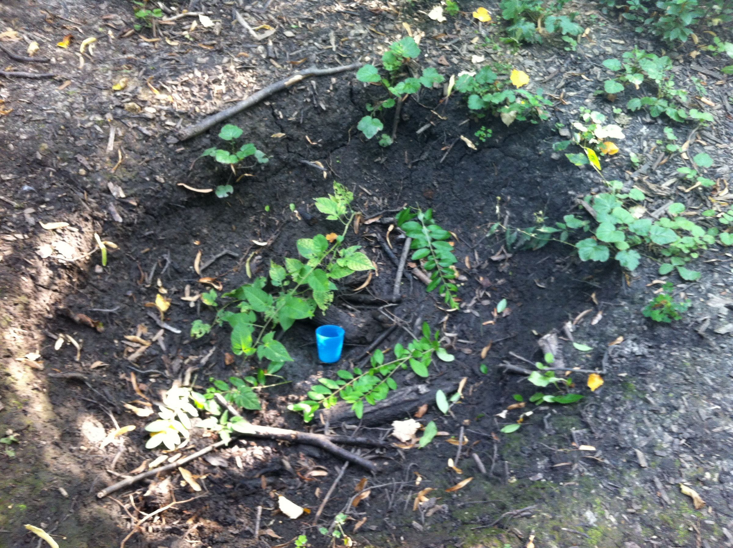 A Survival Water Filter : 5 Steps (with Pictures) - Instructables