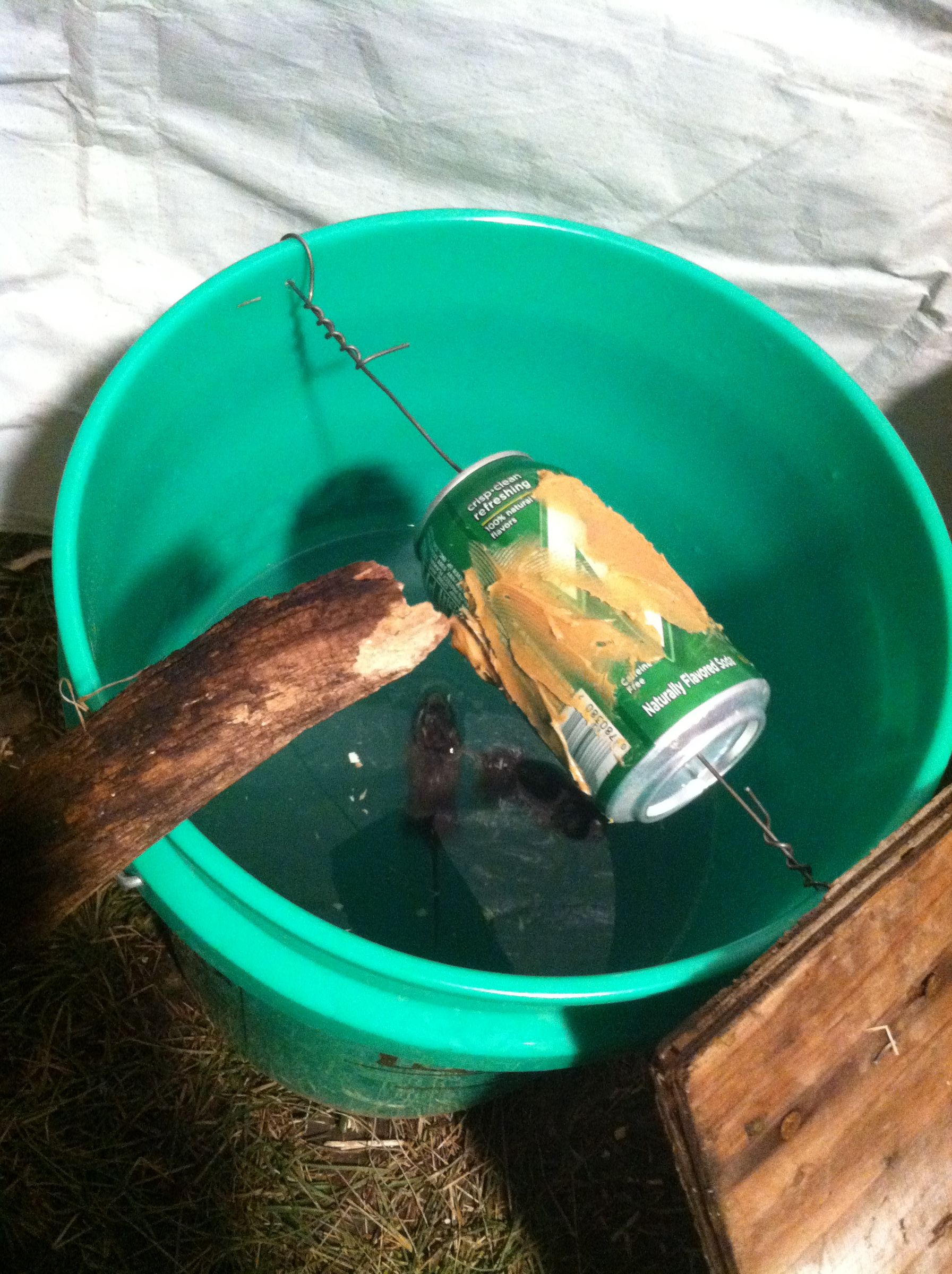 Redneck Mouse Trap! : 8 Steps - Instructables