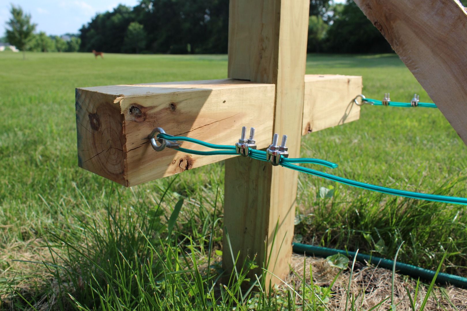 Backyard Raspberries : 17 Steps (with Pictures) - Instructables