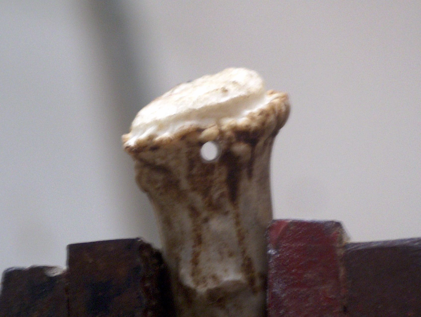 The Antler Drive. : 4 Steps (with Pictures) - Instructables