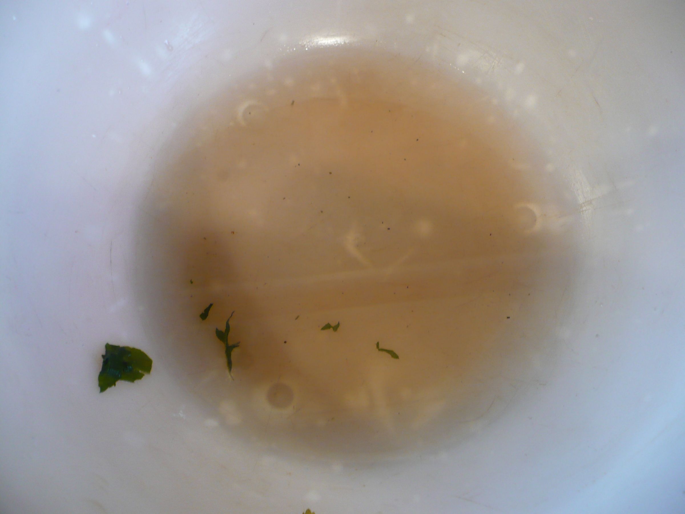 British - Stinging Nettle Beer : 8 Steps (with Pictures) - Instructables