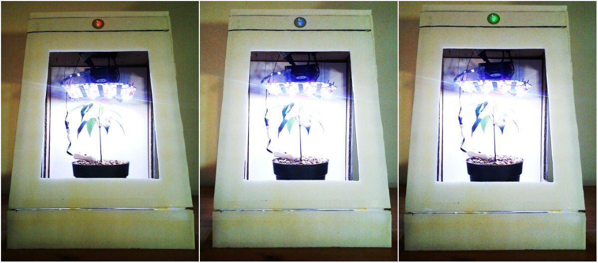 The Plant Box : 6 Steps - Instructables