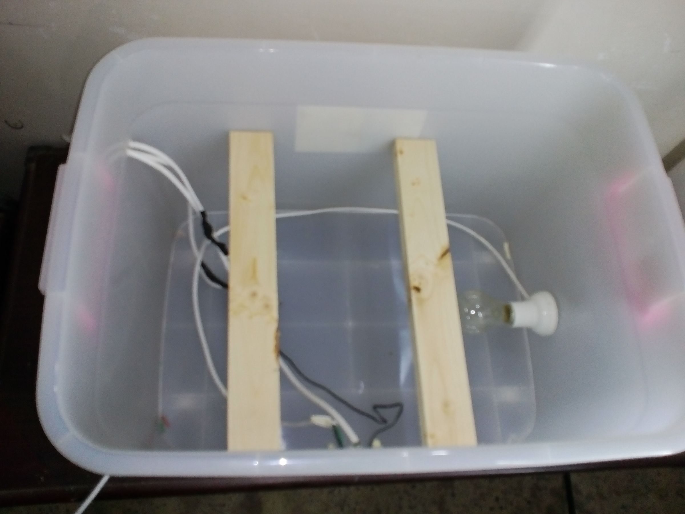 How to Make Homemade Incubator | Egg Hatcher at Home : 5 Steps (with ...