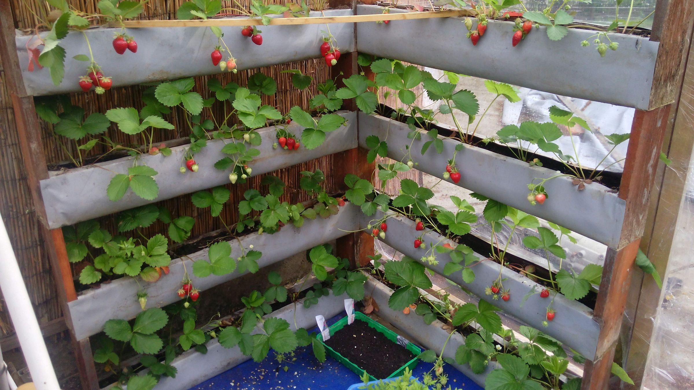 Modular Vertical Garden. : 5 Steps (with Pictures) - Instructables