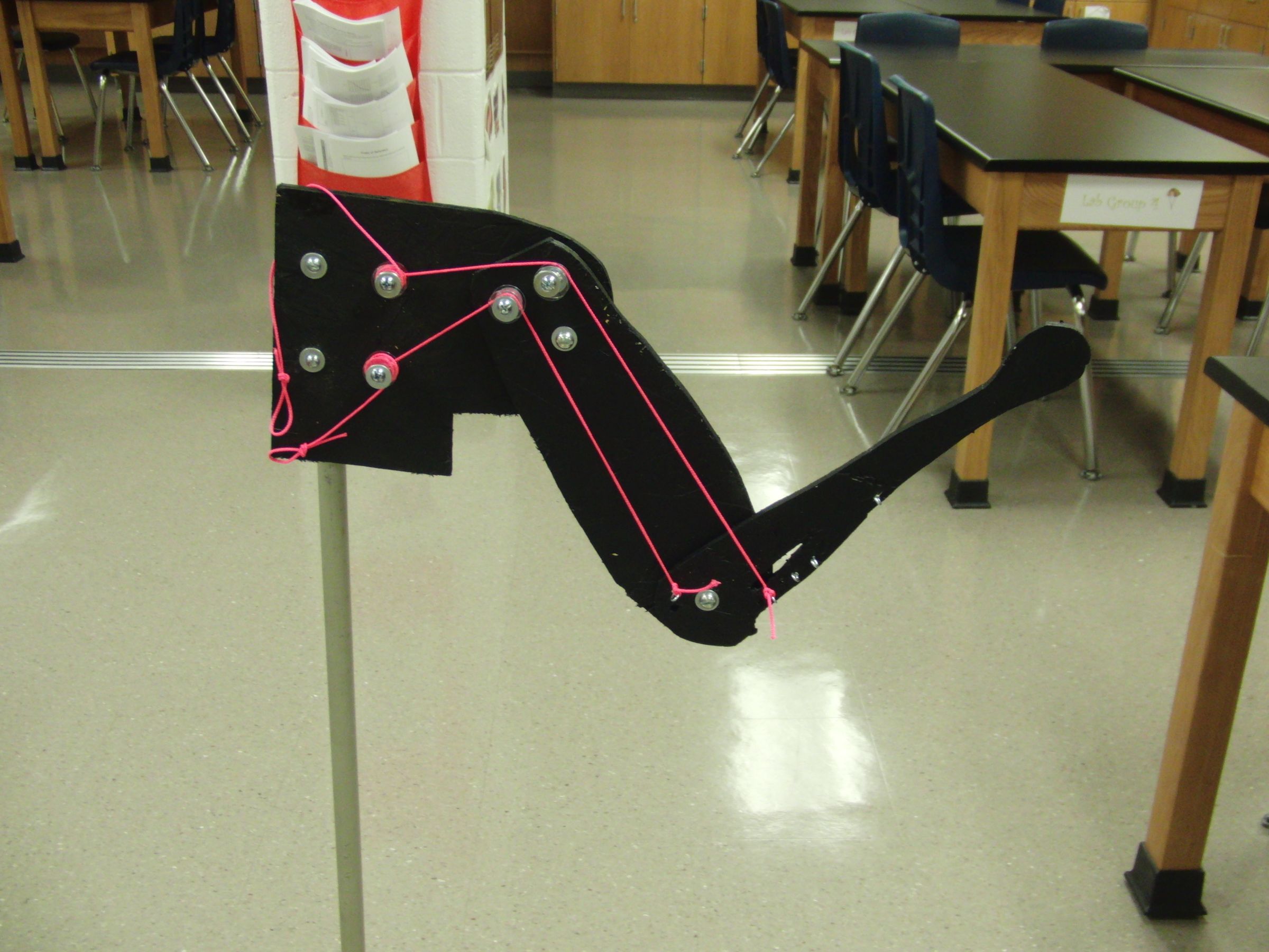 Human Arm Model : 13 Steps (with Pictures) - Instructables