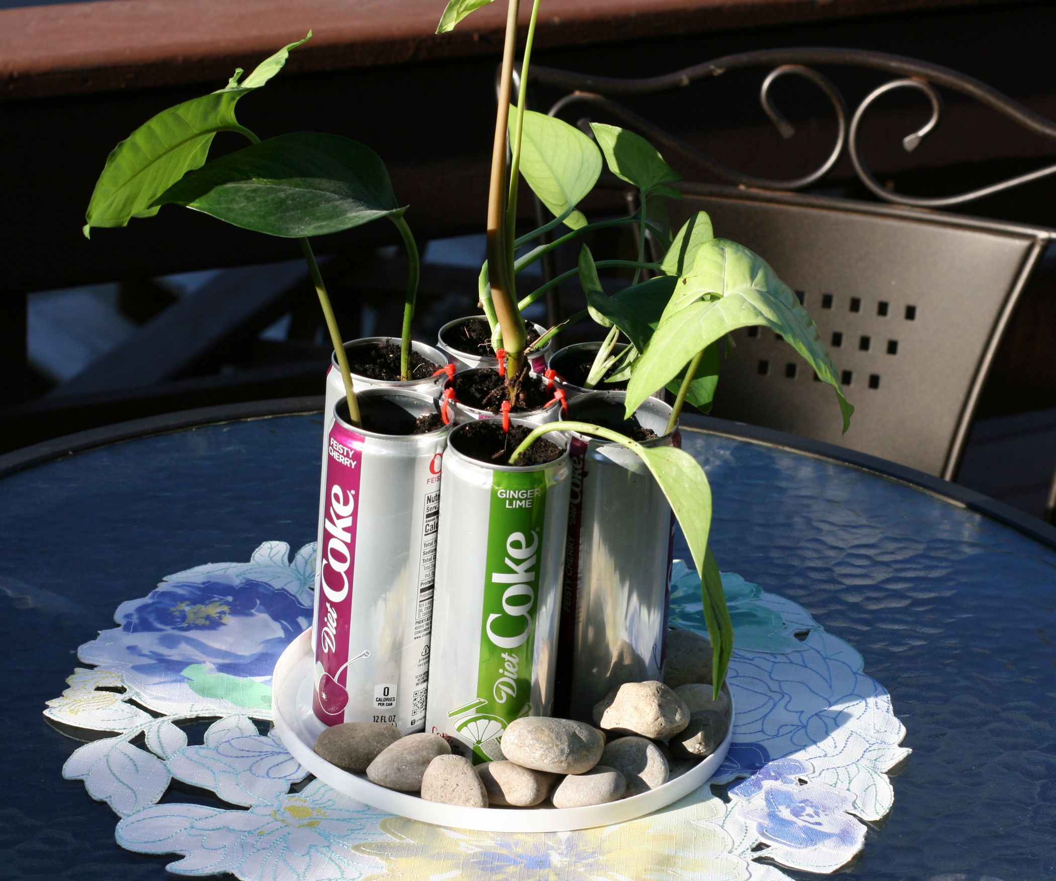 Recyclable Planter : 11 Steps - Instructables