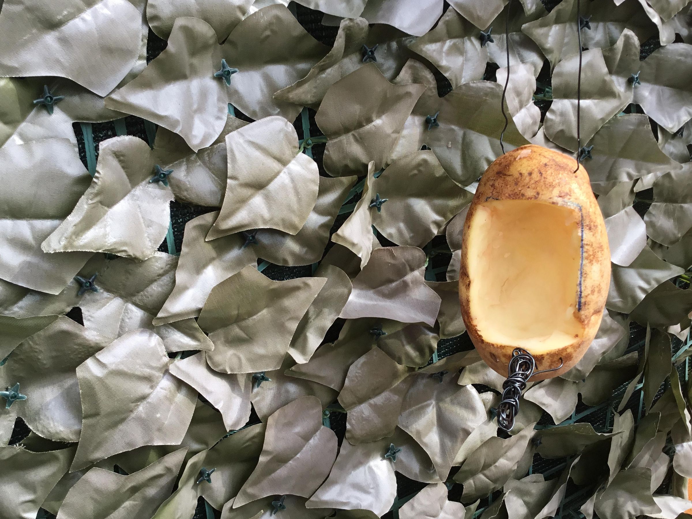 🦜🦜🥔🥔🥔🥔🥔🥔Potato Bird Feeder (2.0v)🥔🥔🥔🥔🥔🥔🥔🦜🦜 : 7 Steps - Instructables