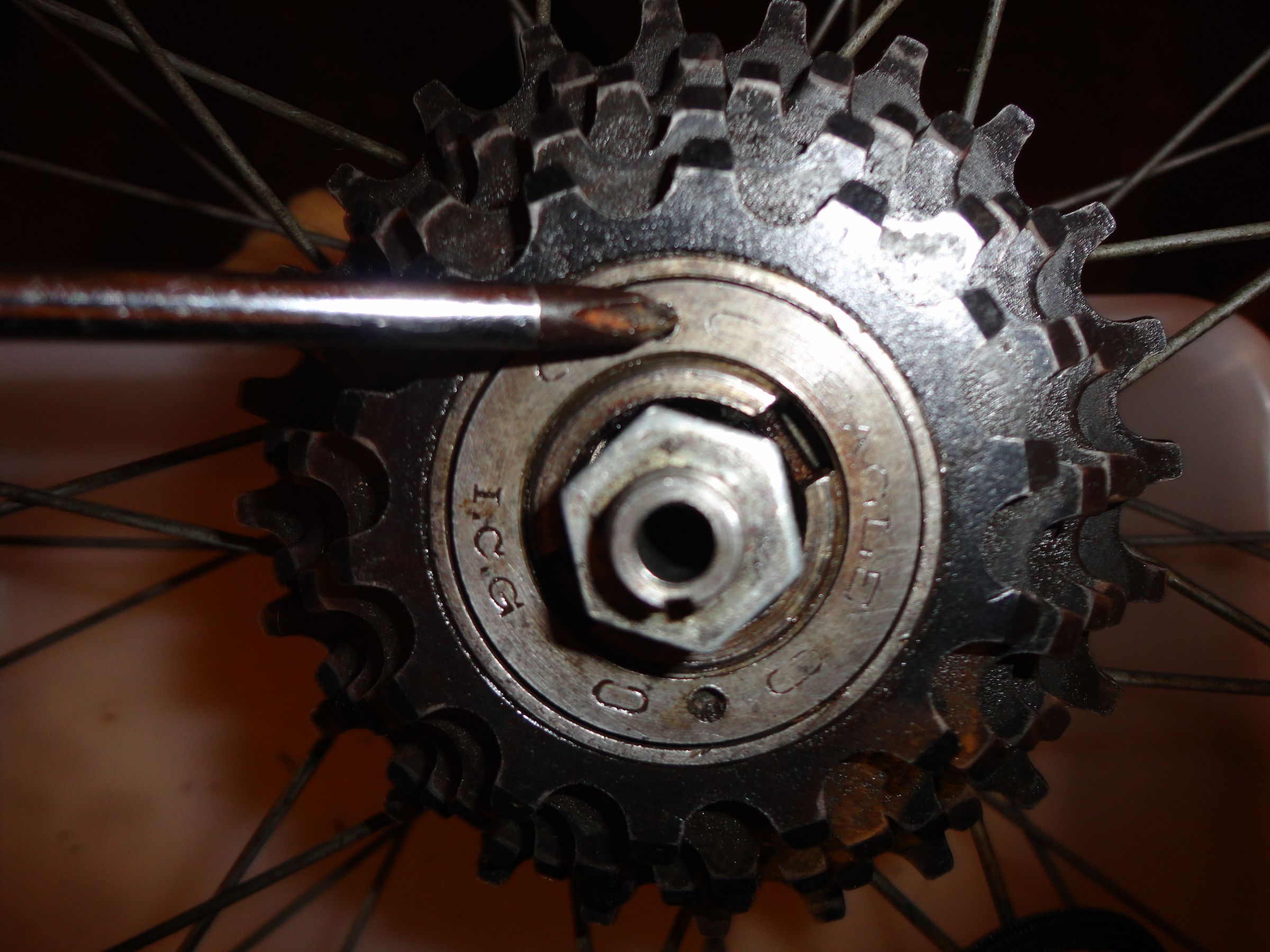 Old Bike Freewheel Cleaning : 9 Steps (with Pictures) - Instructables