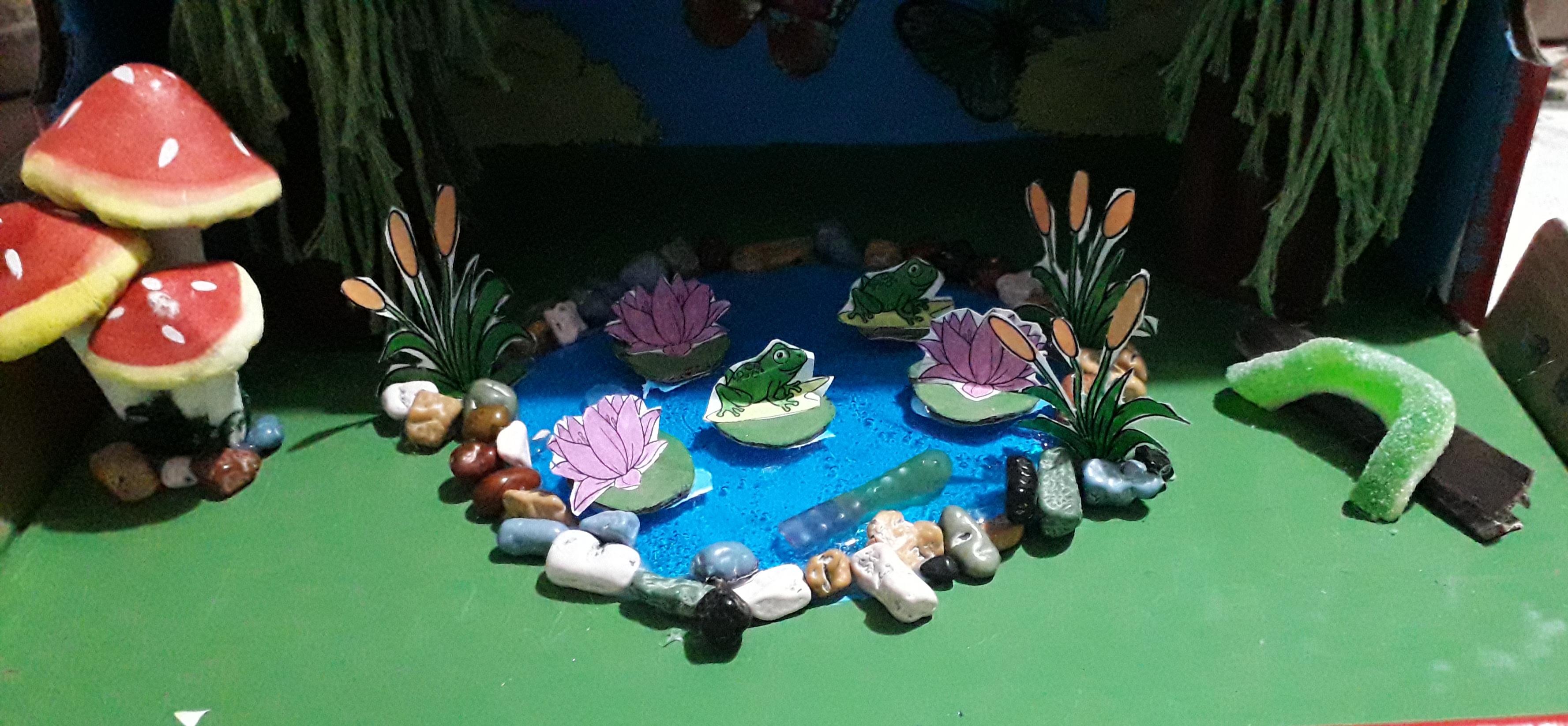 Freshwater Pond Ecosystem Model With Candy! : 8 Steps - Instructables