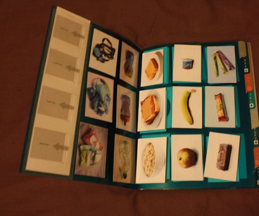 Flashcard Picture Book for Toddlers - SALT Resources : 6 Steps (with ...