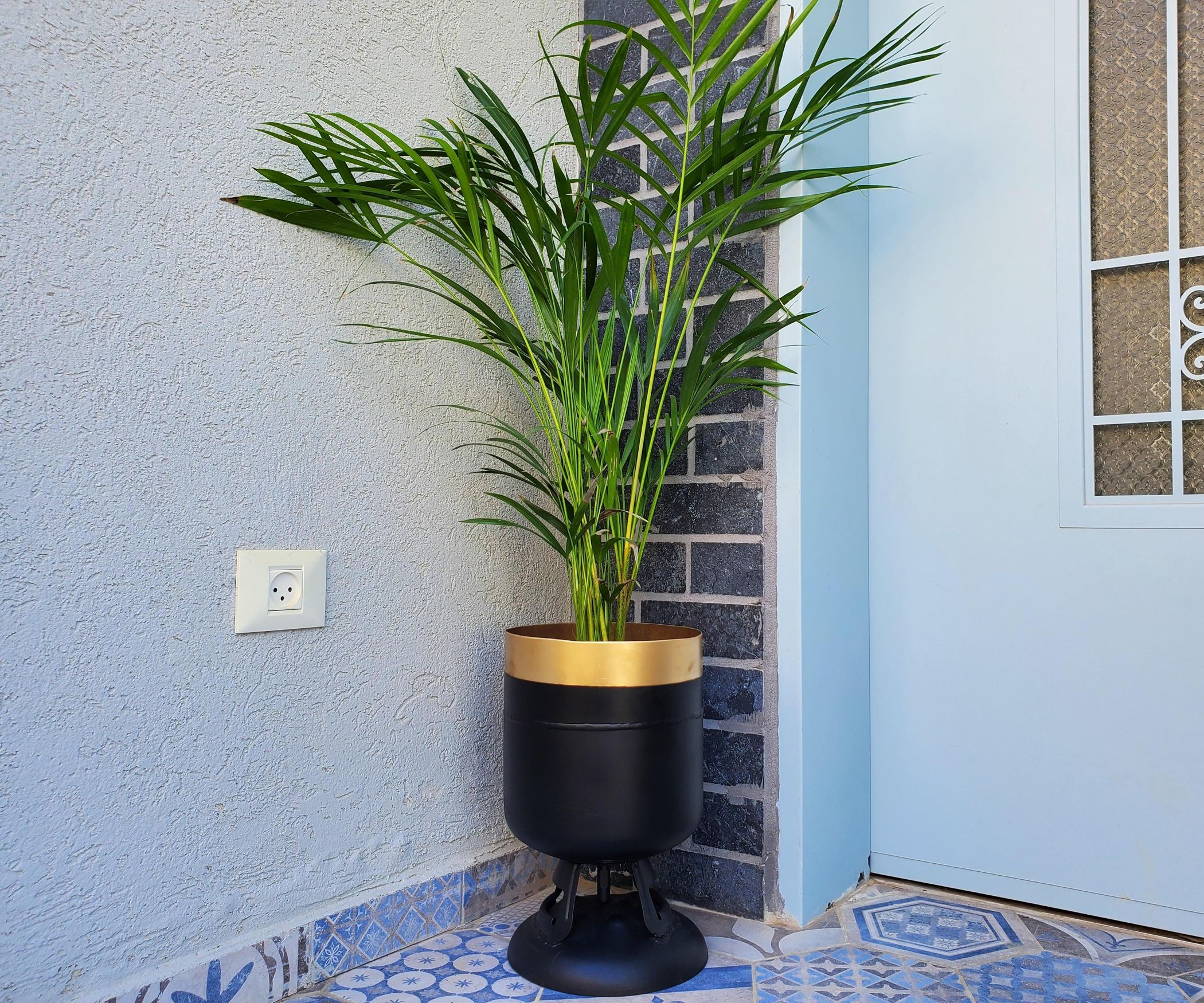 Gas Cylinder Turned to a Modern Metal Planter : 6 Steps (with Pictures ...