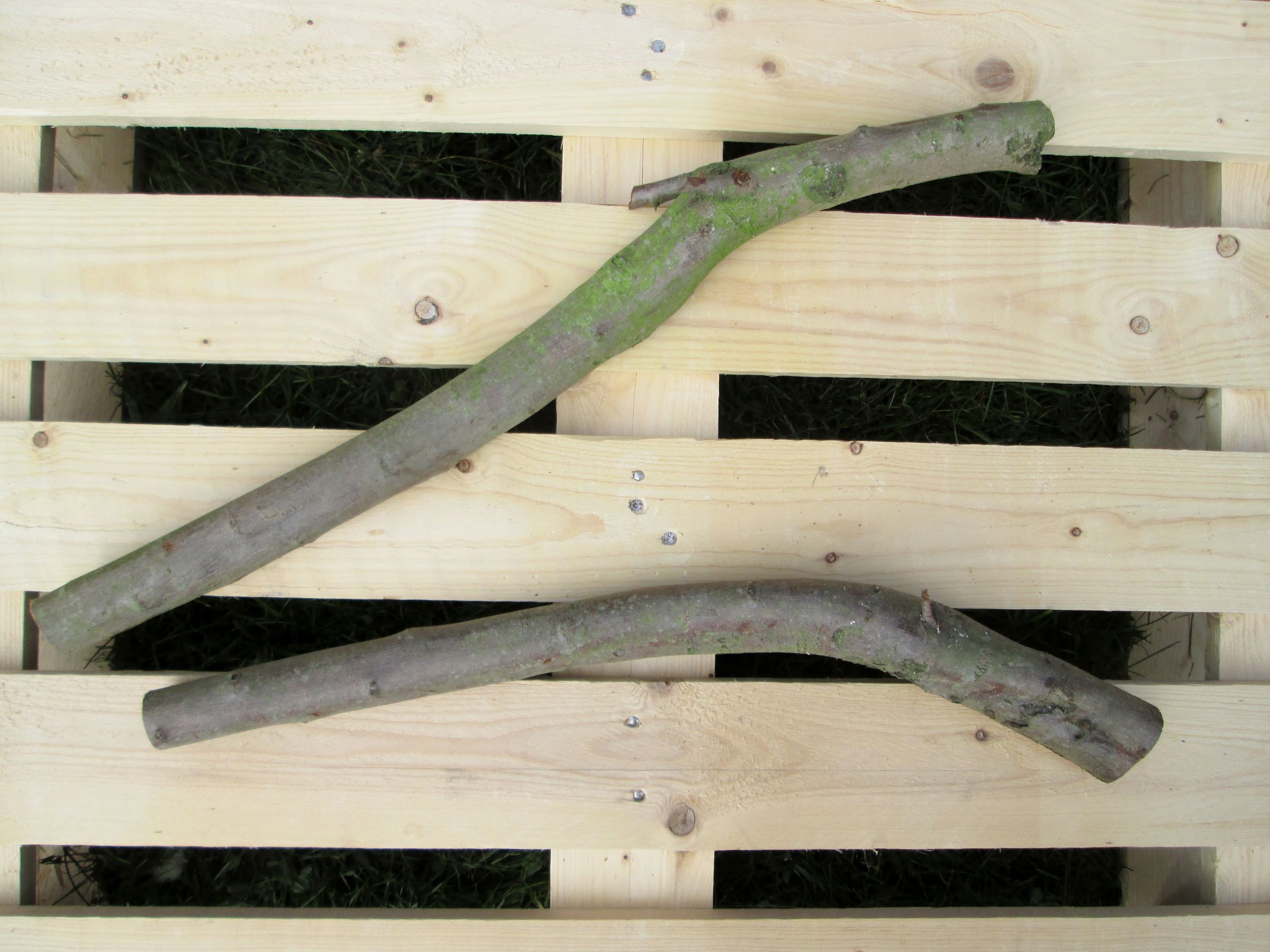 The Rabbit Stick Hunter : 4 Steps (with Pictures) - Instructables